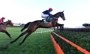 Today's Horse Racing News | Racing TV