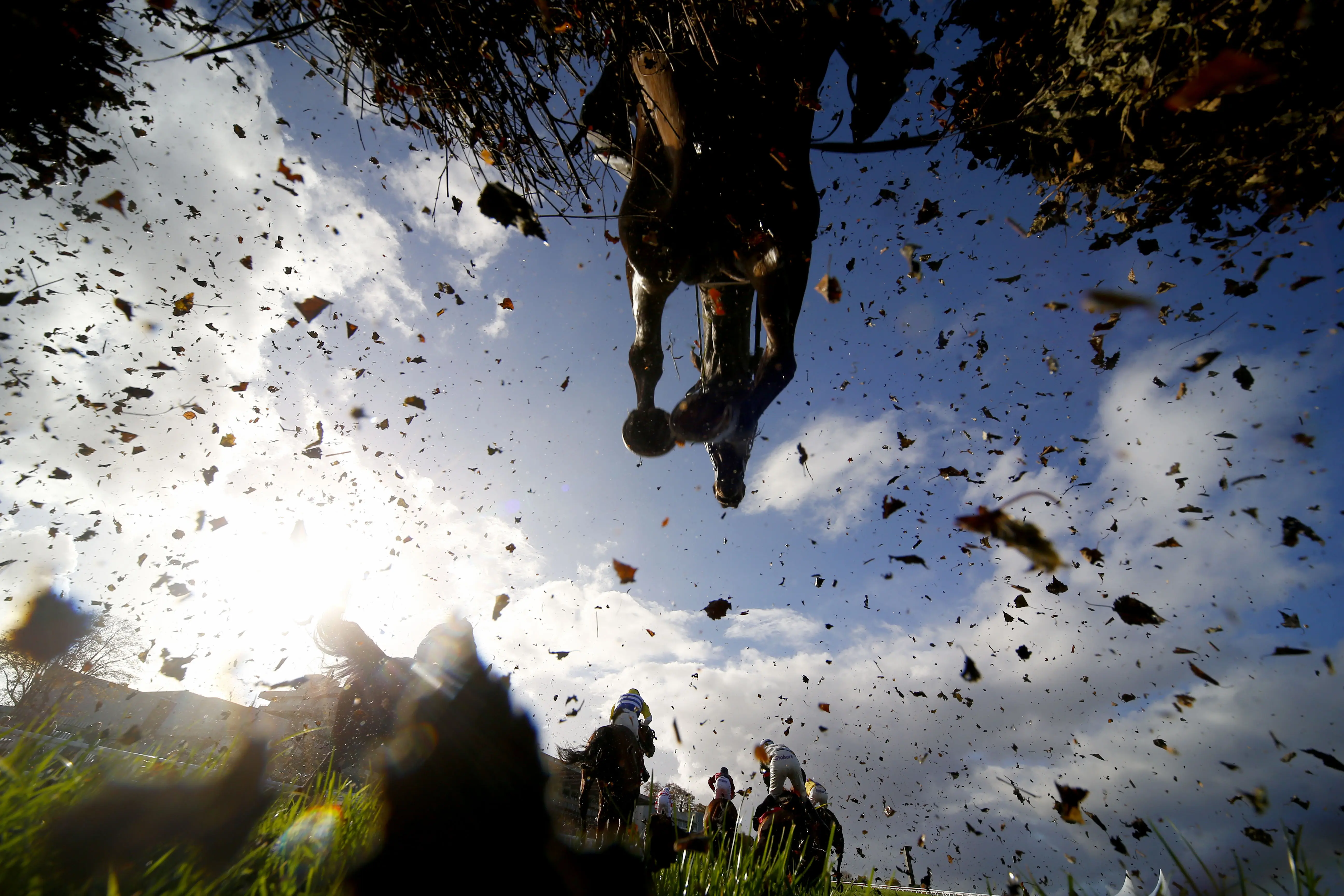 Friday tips: Dave Nevison shares his best three bets