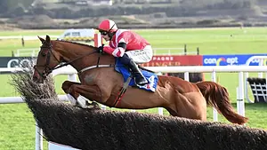 Today's Horse Racing News | Racing TV