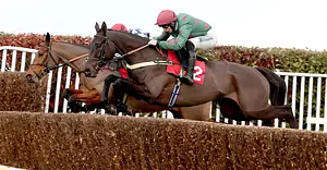 Today's Horse Racing News | Racing TV