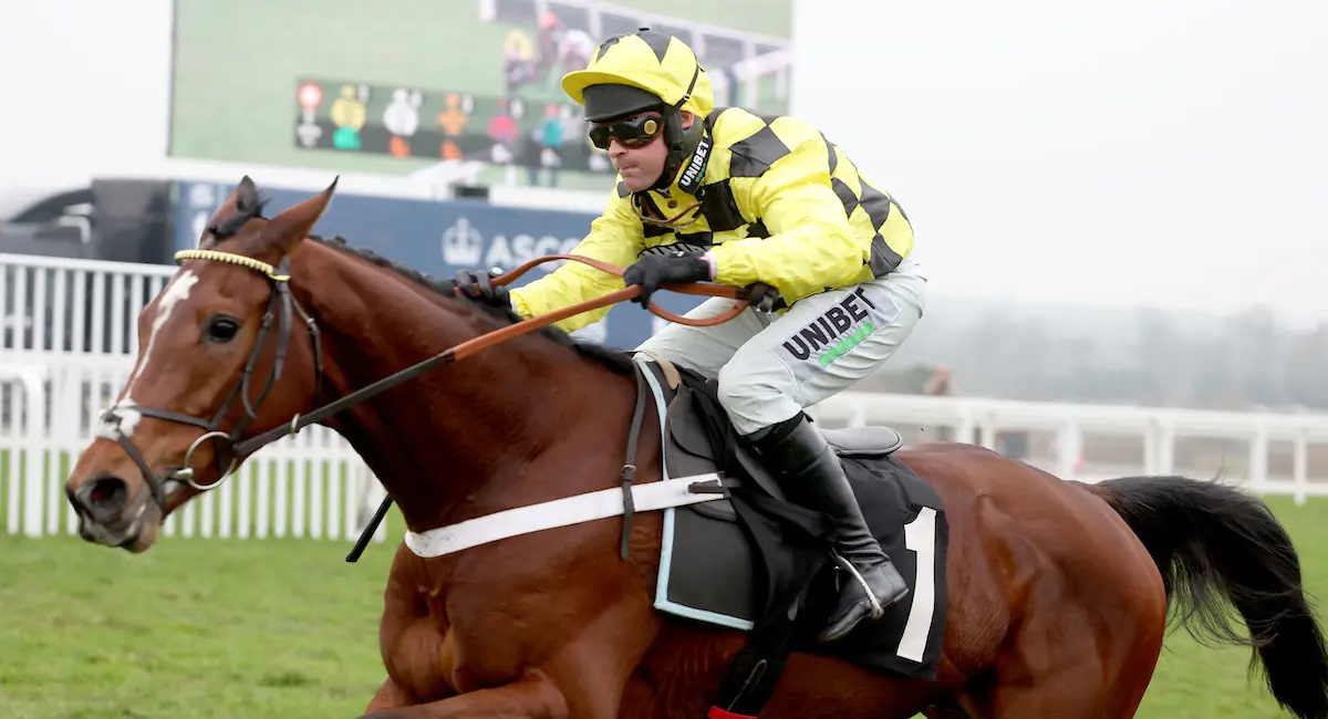 Lulamba 9-4 for Triumph Hurdle after sparkling on British debut