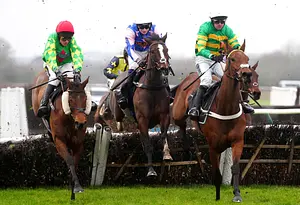 Today's Horse Racing News | Racing TV