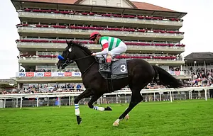 Today's Horse Racing News | Racing TV