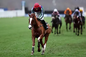 Today's Horse Racing News | Racing TV