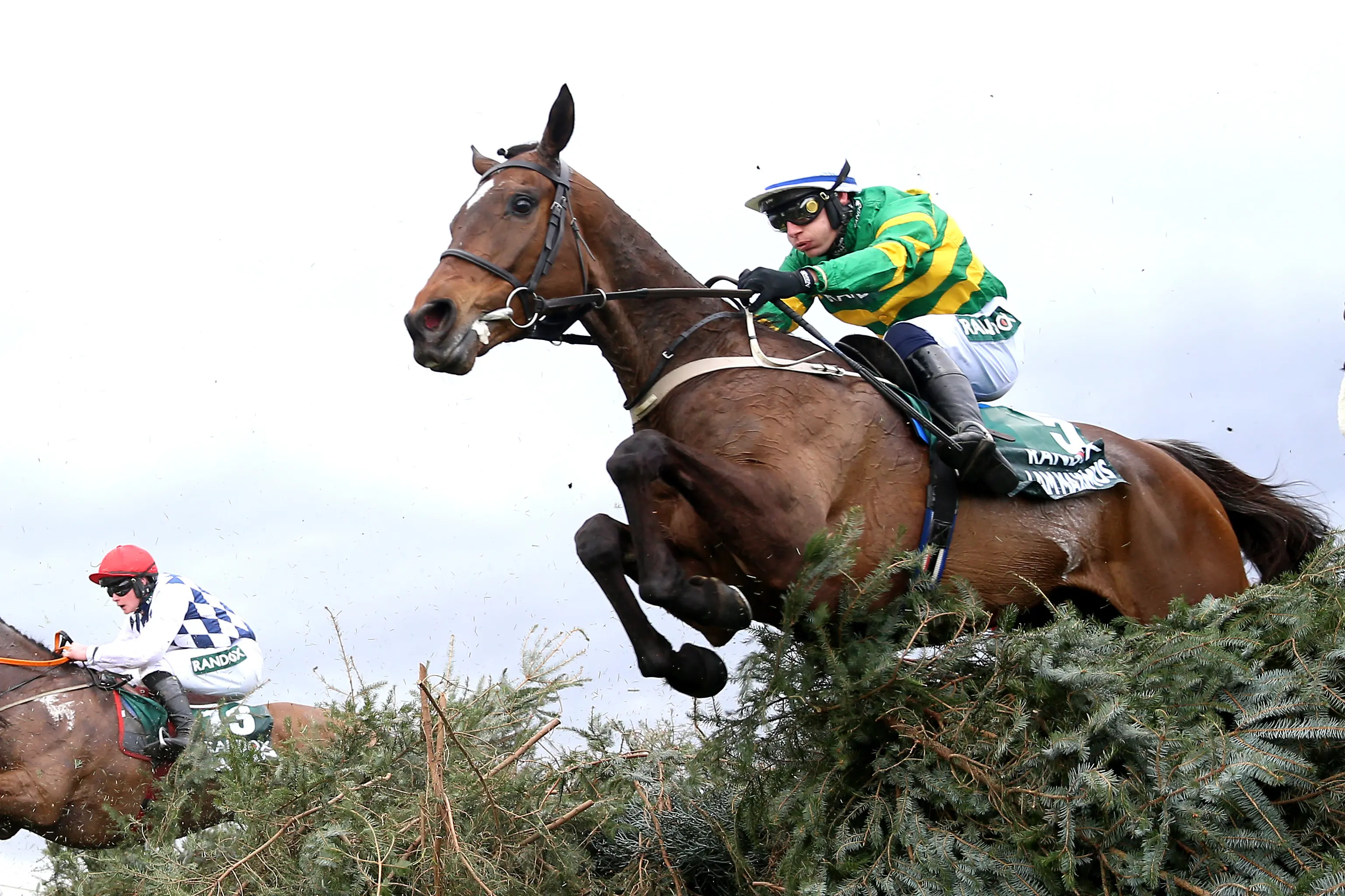 The 2025 Randox Grand National: all the trainer quotes