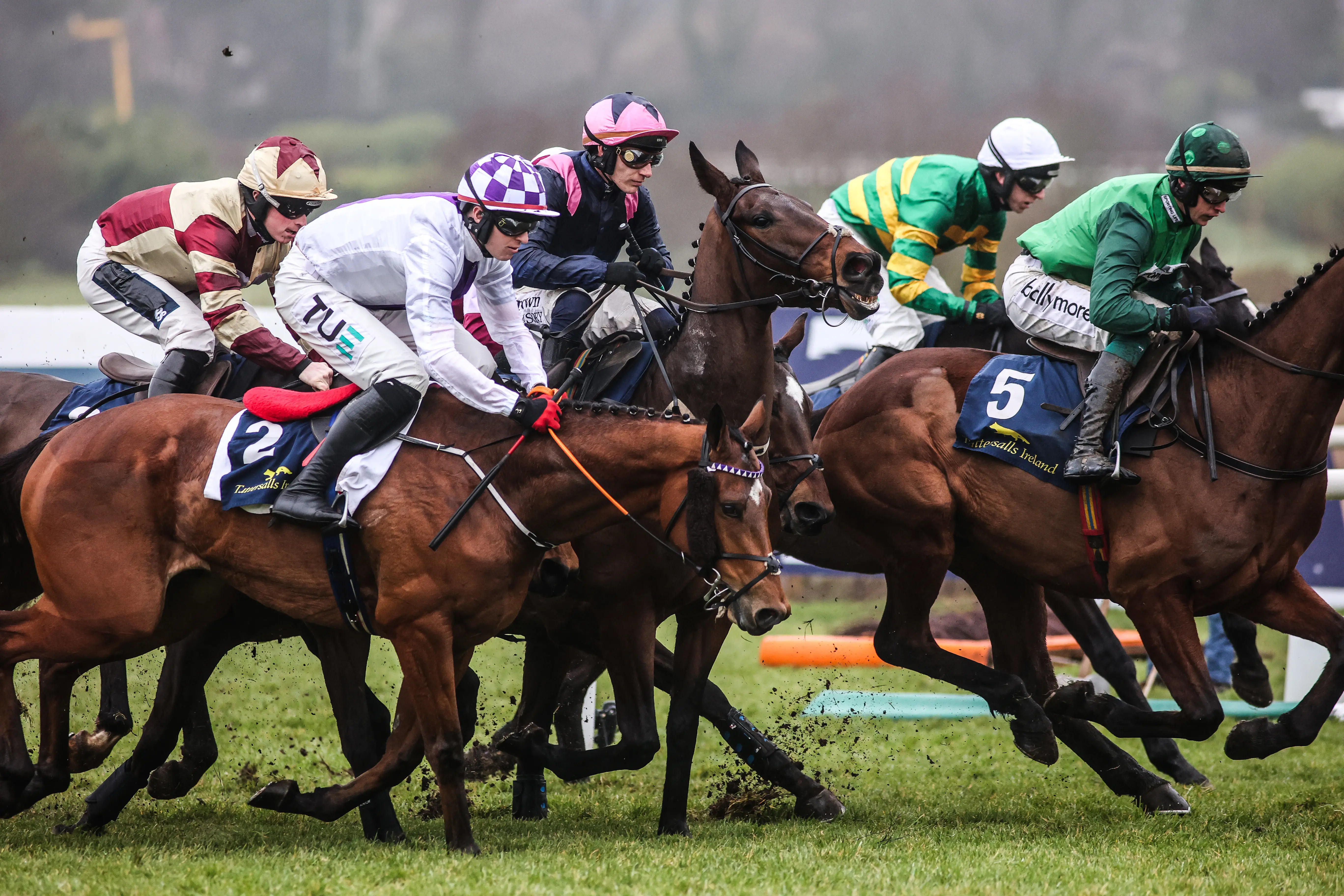 Greatrex rates Good And Clever ‘an exciting horse going forwards’