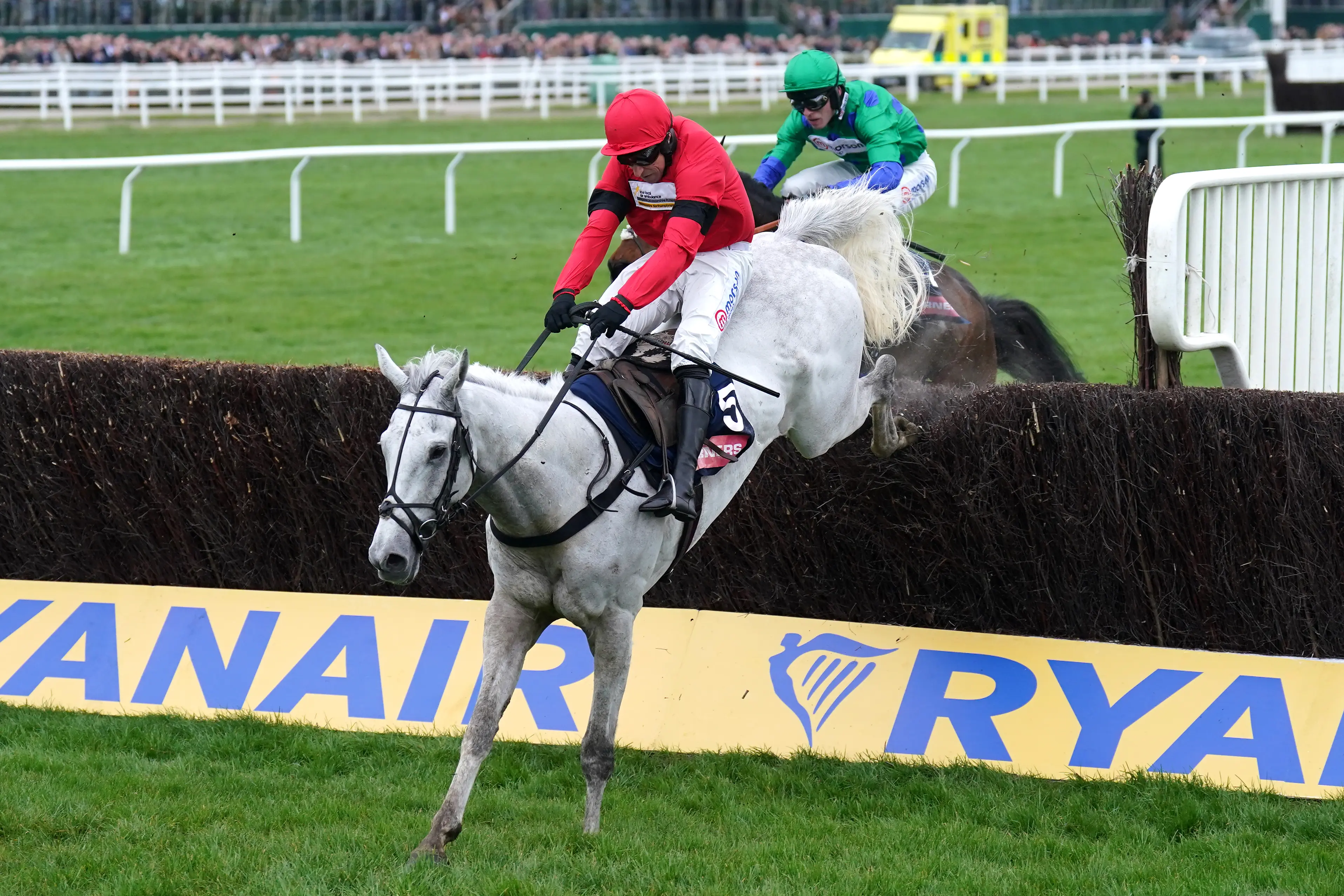 Grey Dawning remains unlikely to take up Gold Cup option