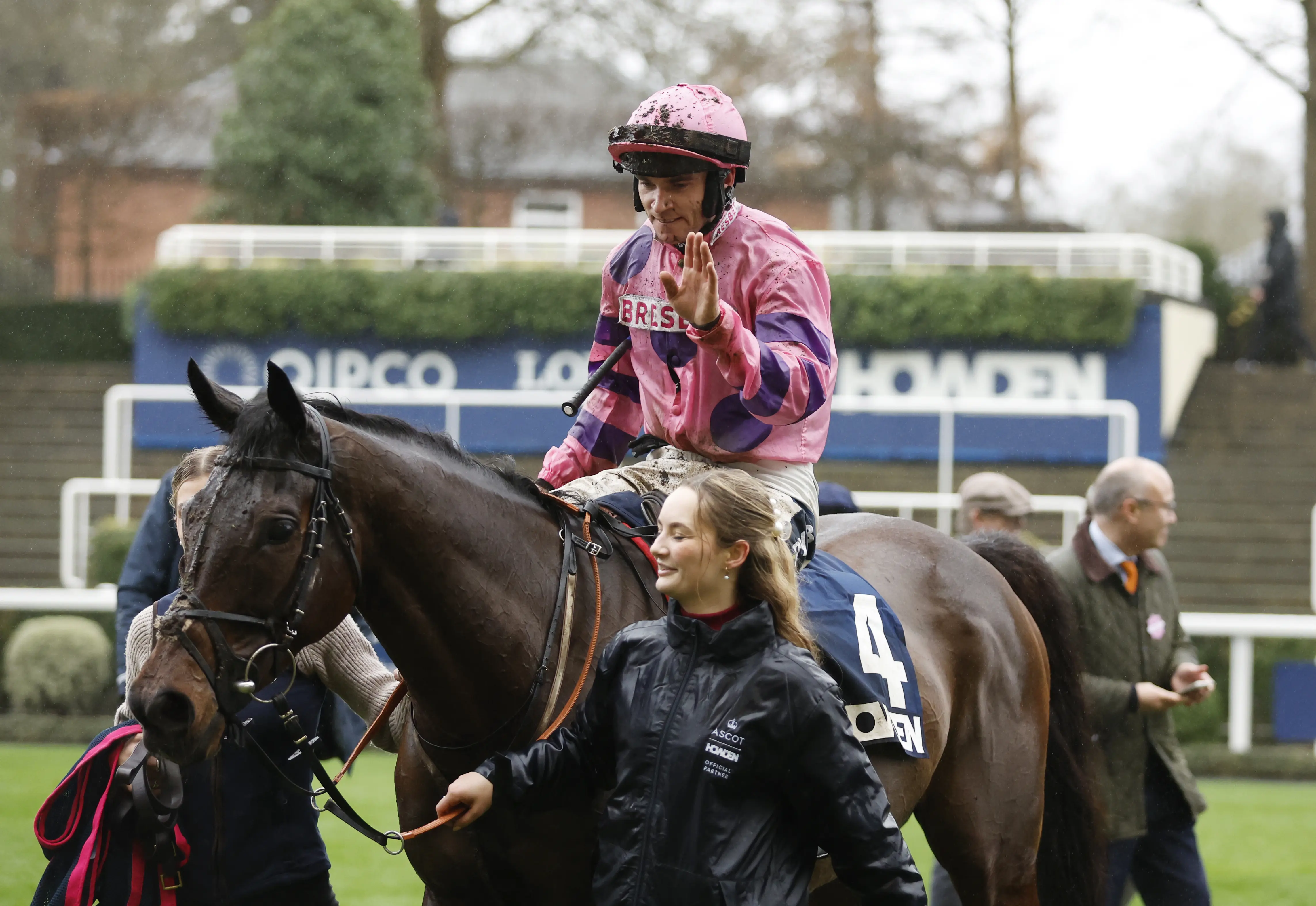 Crambo to be given one more Cheltenham chance