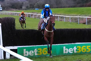 Today's Horse Racing News | Racing TV