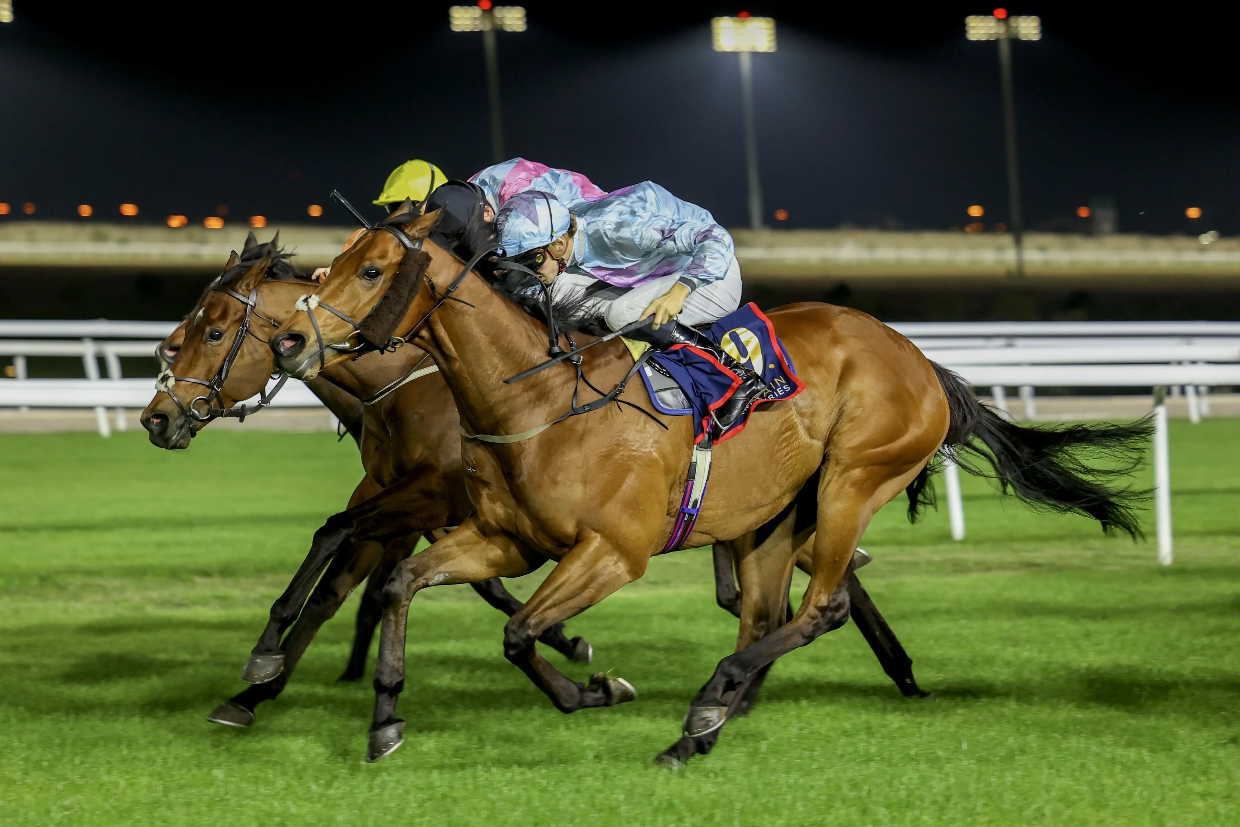 Bahrain Turf Series: Dragon fires for Palmer and Davies