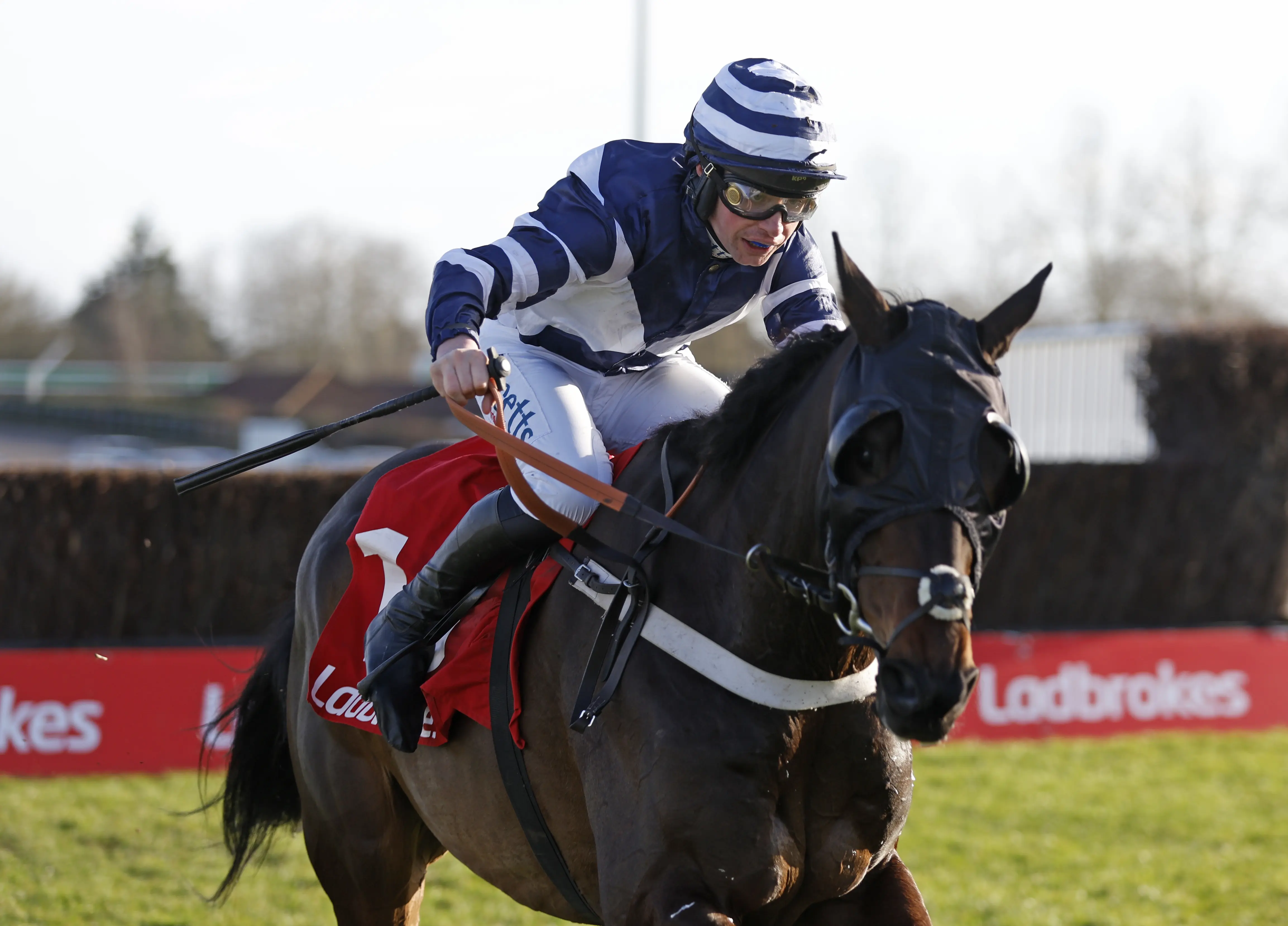 Charlie Deutsch and Katate Dori steal the show at Kempton