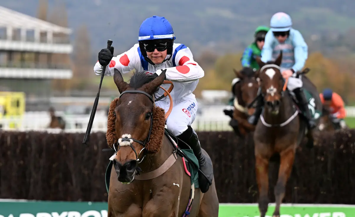 Dave Nevison's New Year's Day tips: Cheltenham and Exeter bets