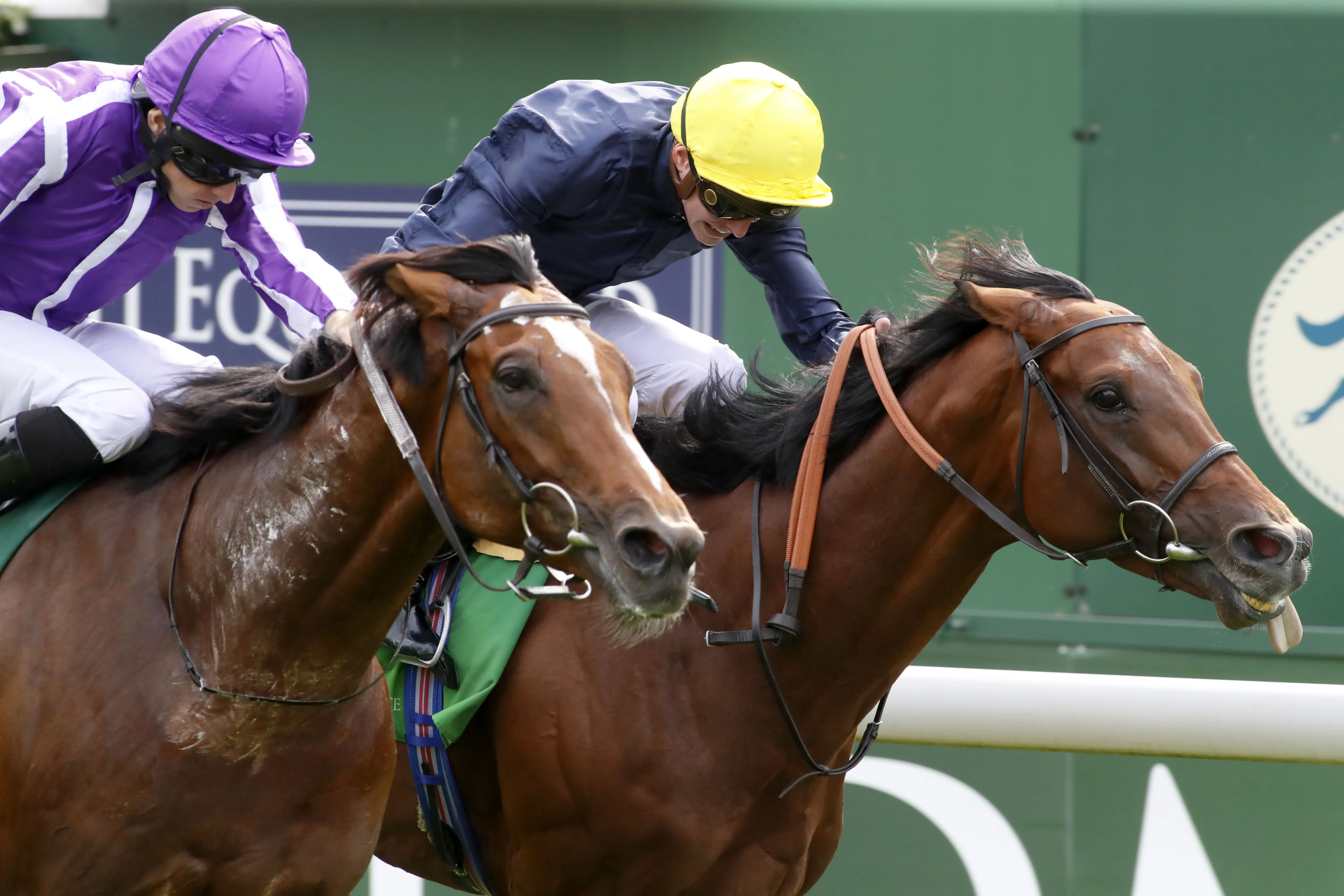 Sky Bet Ebor Festival: epic finishes to the big races