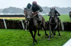 Today's Horse Racing News | Racing TV