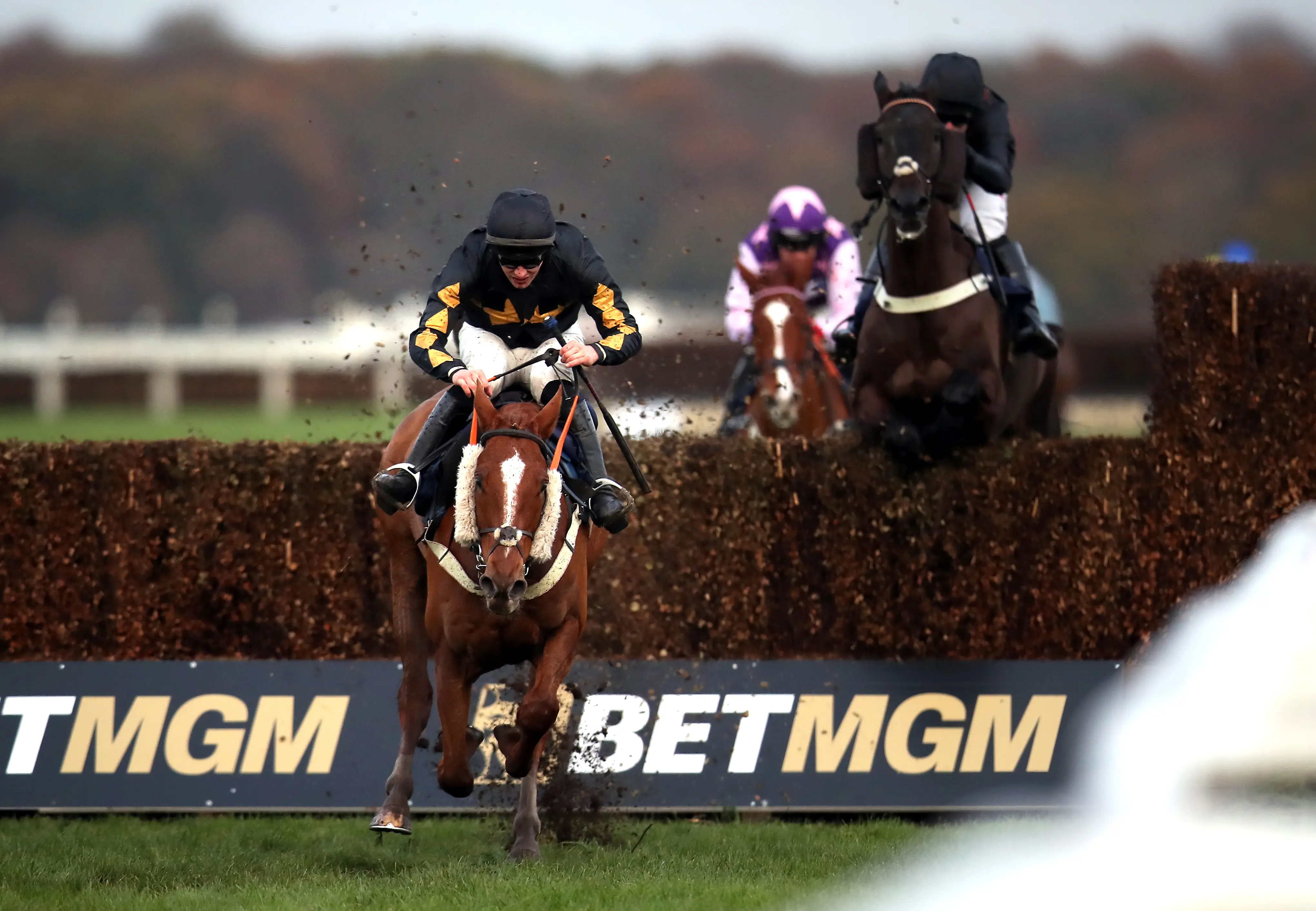 Gaboriot team eager to step up for Becher Chase