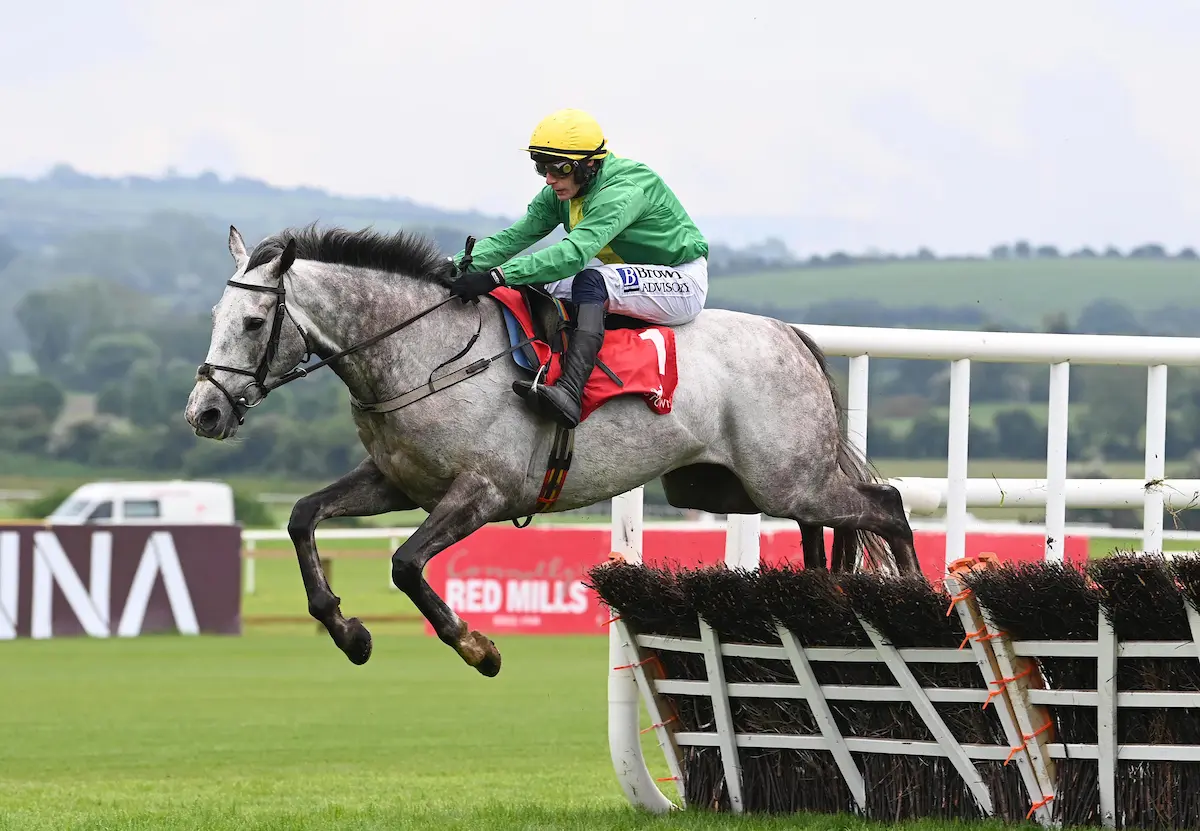 Sunday tips: Angus McNae has four bets across Fairyhouse and Carlisle