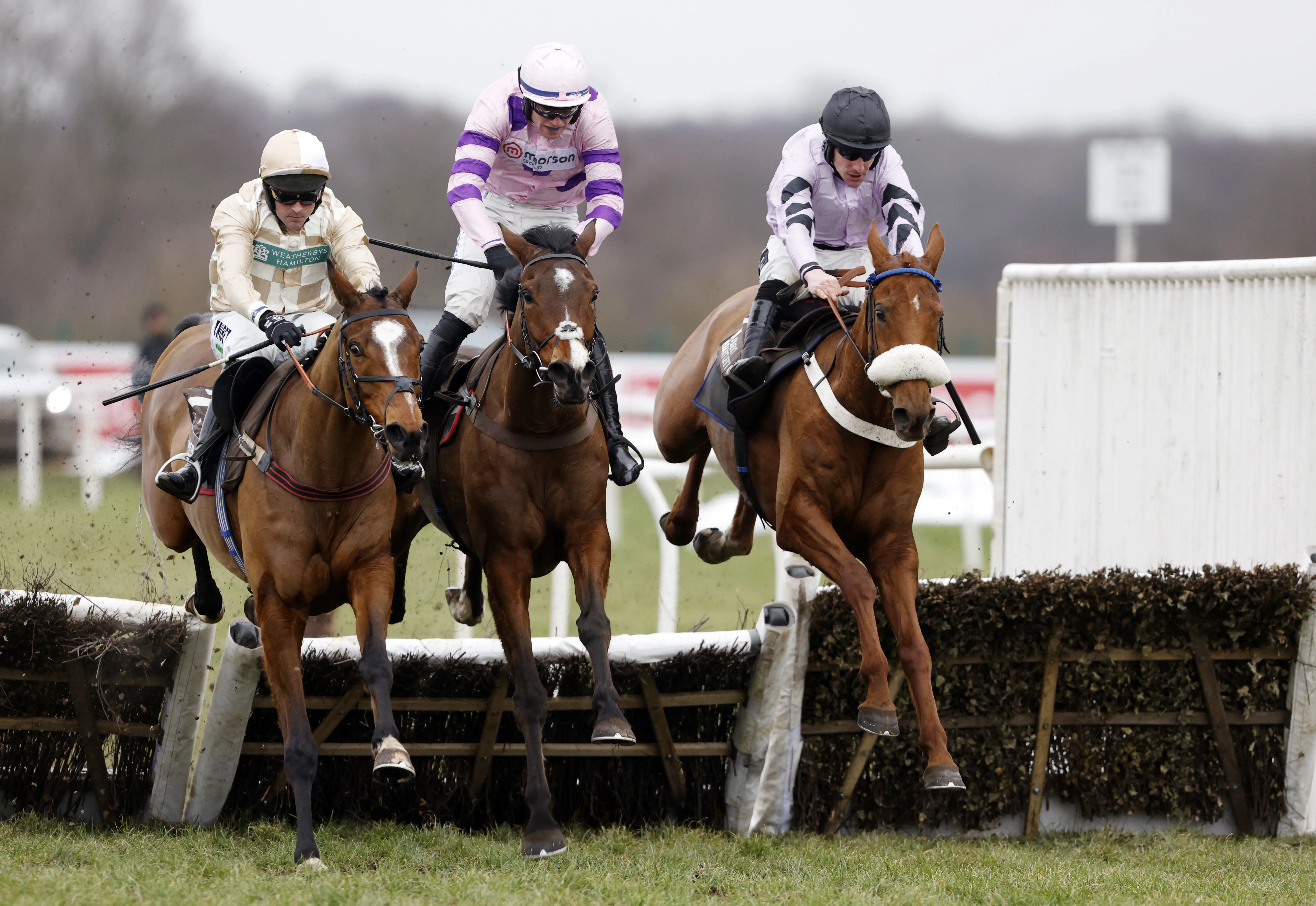 McCain readying Maximilian for chasing debut