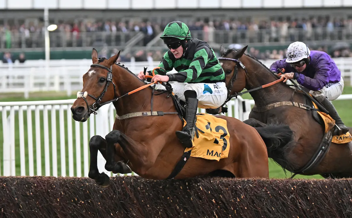 Dave Nevison's Cheltenham tips: best bets for Friday