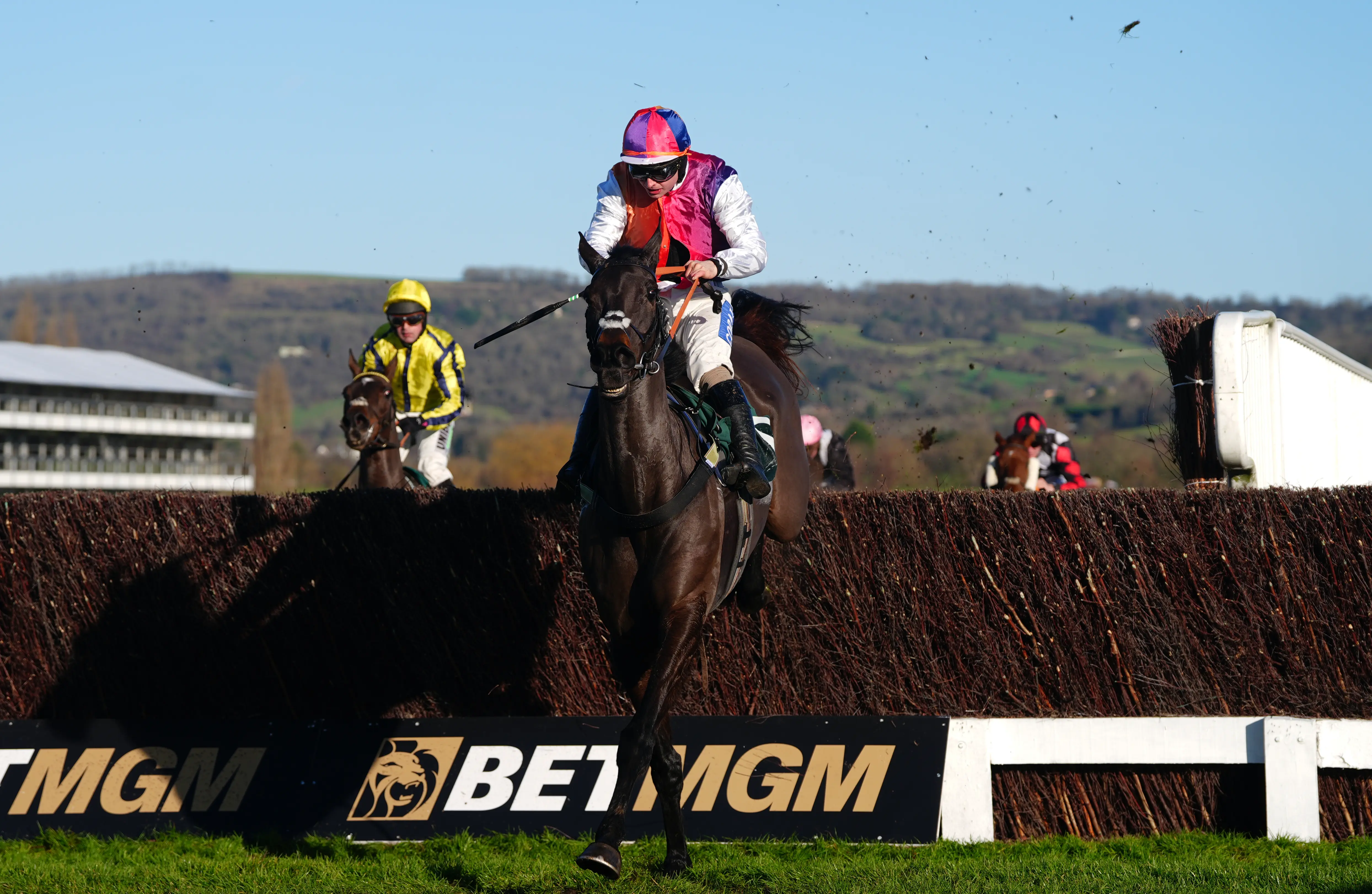 Haiti Couleurs looks good for Rebecca Curtis at Cheltenham