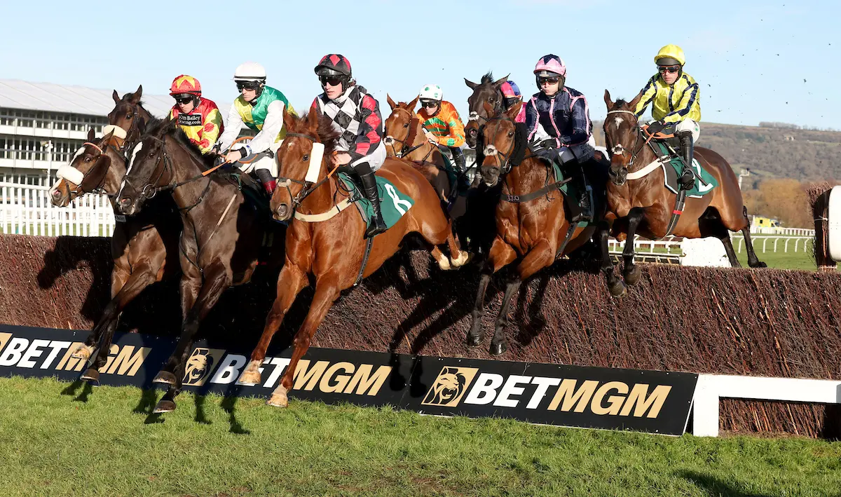 Five eye-catchers at Cheltenham’s Christmas Meeting