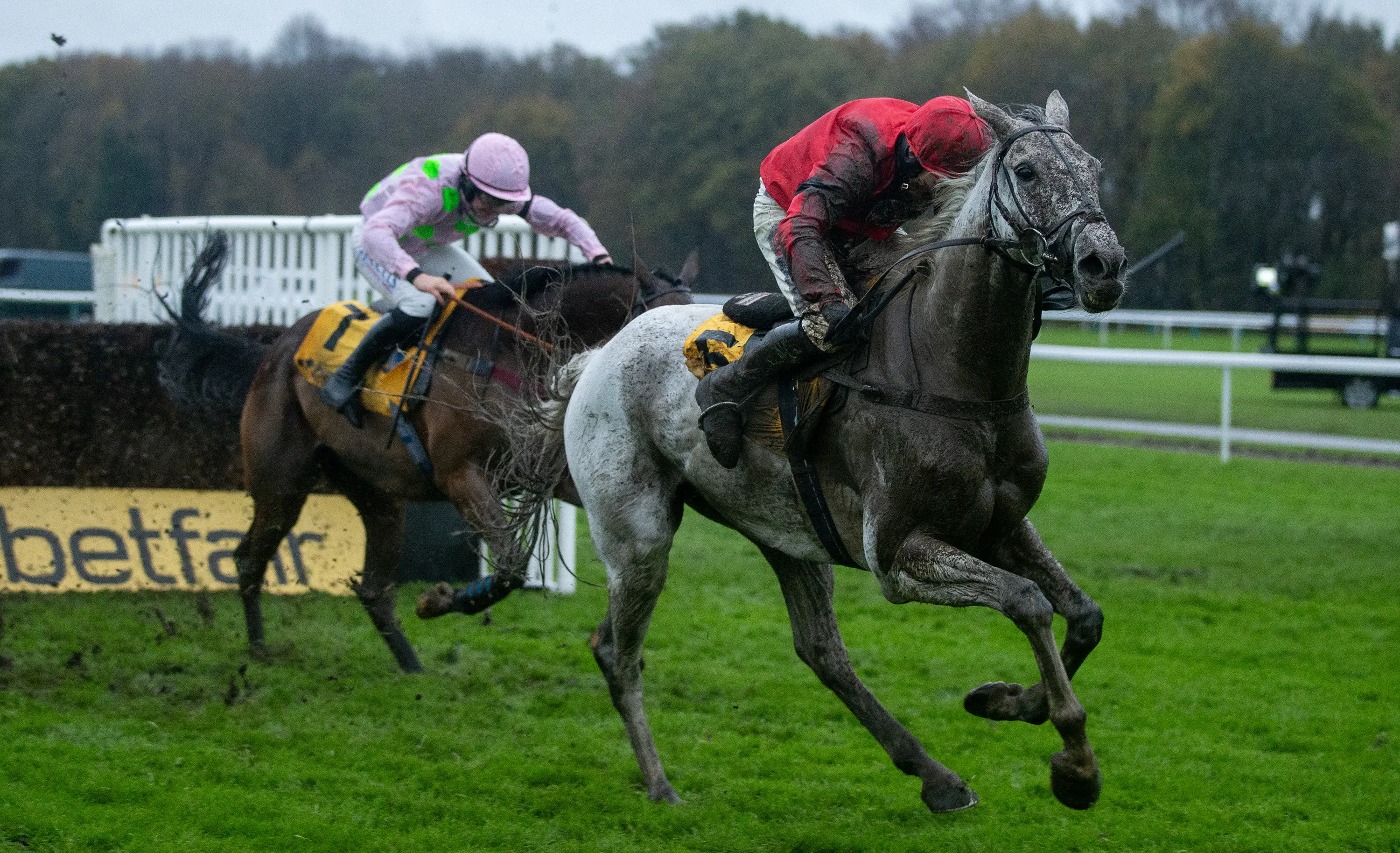 Skelton sees Grey Dawning as ticking plenty of King George boxes
