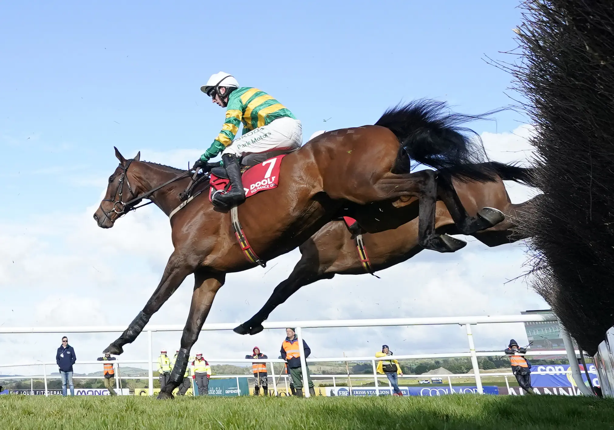 The 2024 King George VI Chase: guide to all the possible runners