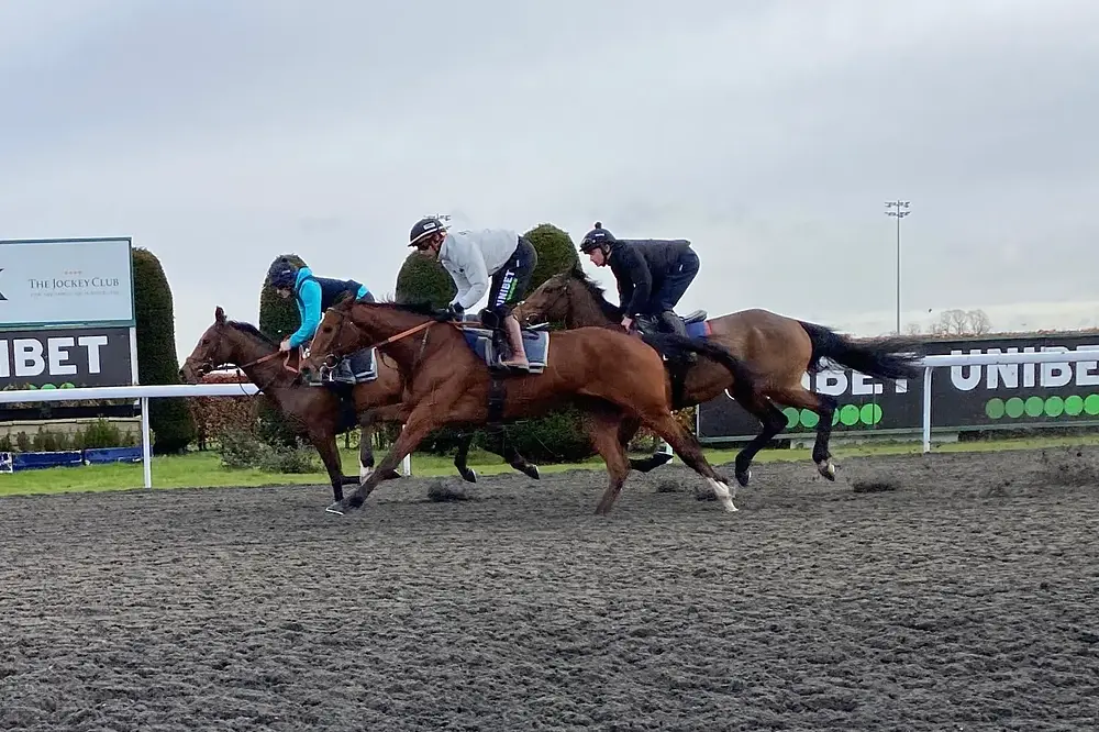 Today's Horse Racing News & Results | Racing TV