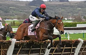 Today's Horse Racing News | Racing TV