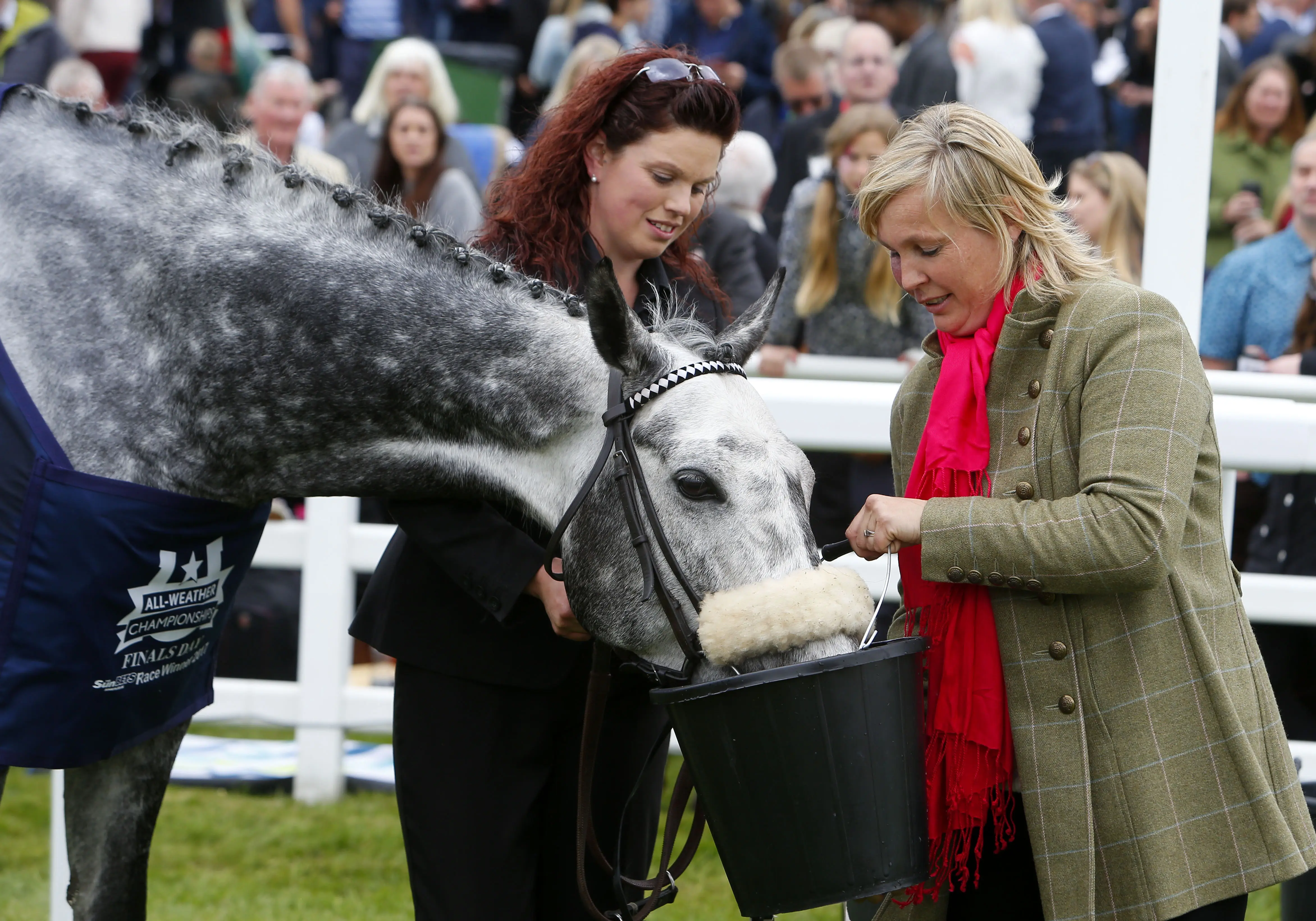 Ruth Carr closes yard near York in face of coronavirus crisis