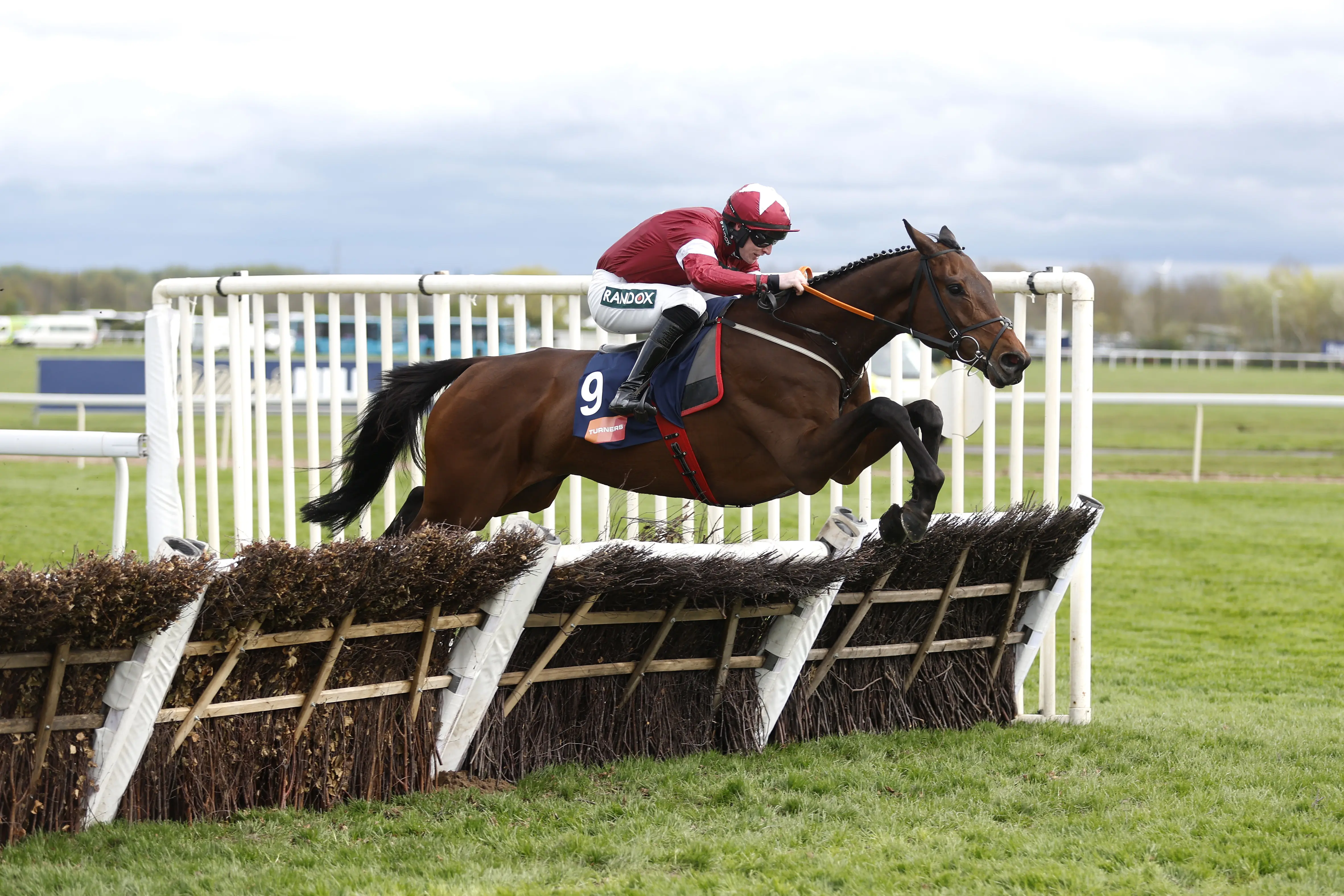 Brighterdaysahead confirmed for Champion Hurdle bid
