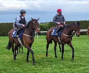 Today's Horse Racing News | Racing TV