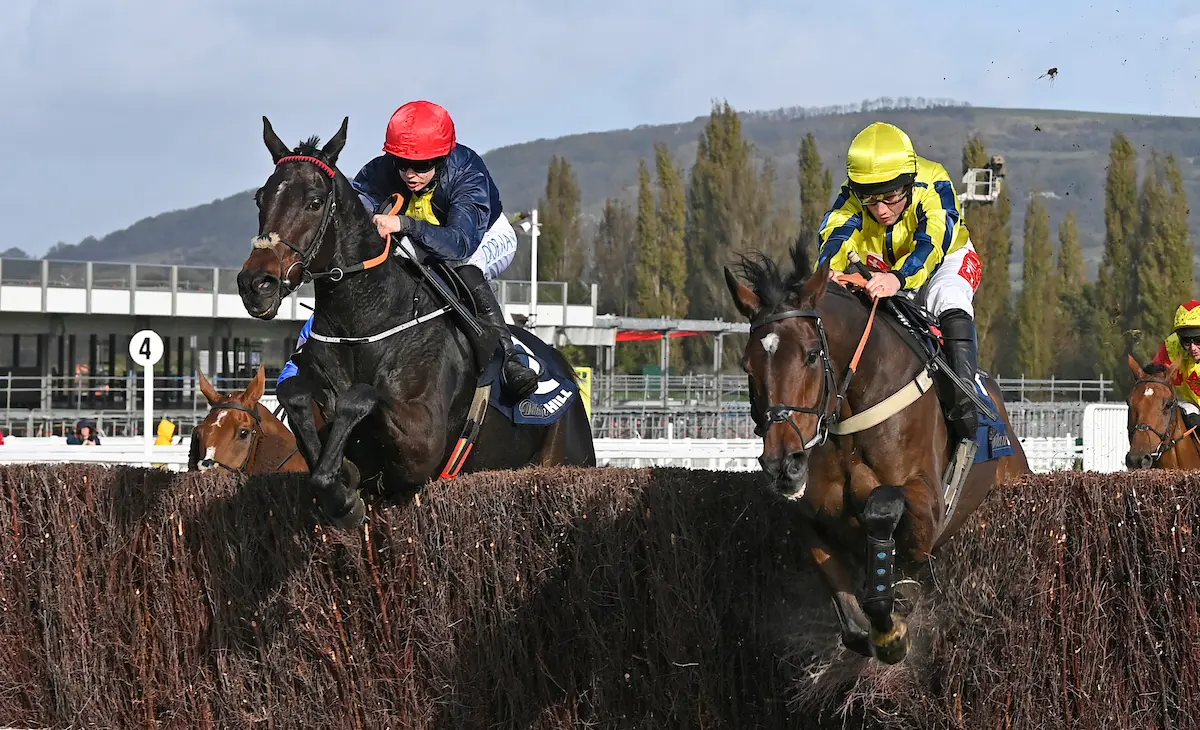 Five tips chalked up at 20-1 or bigger for the Cheltenham Festival