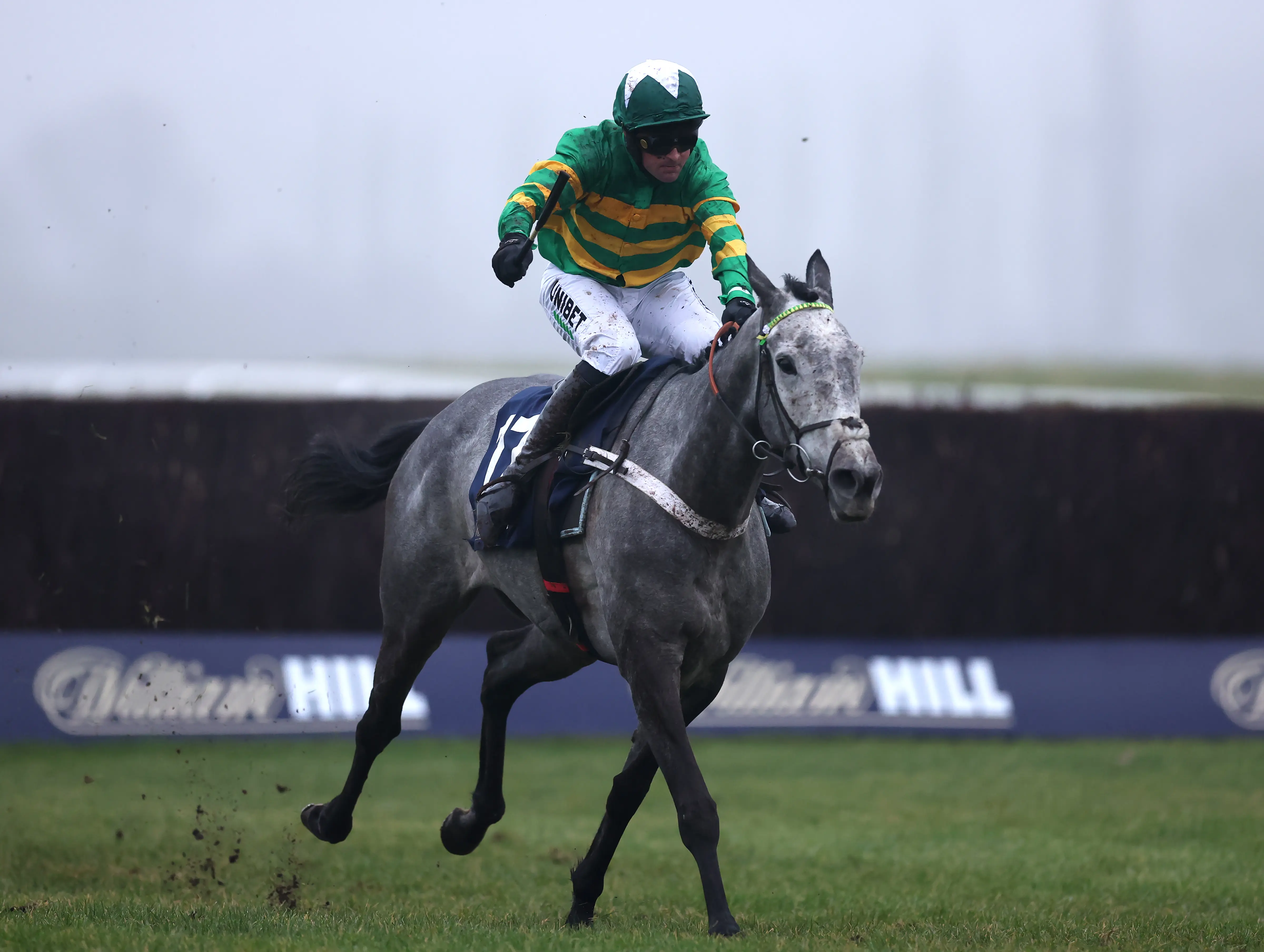 Joyeuse joins battle for Mares’ Hurdle honours