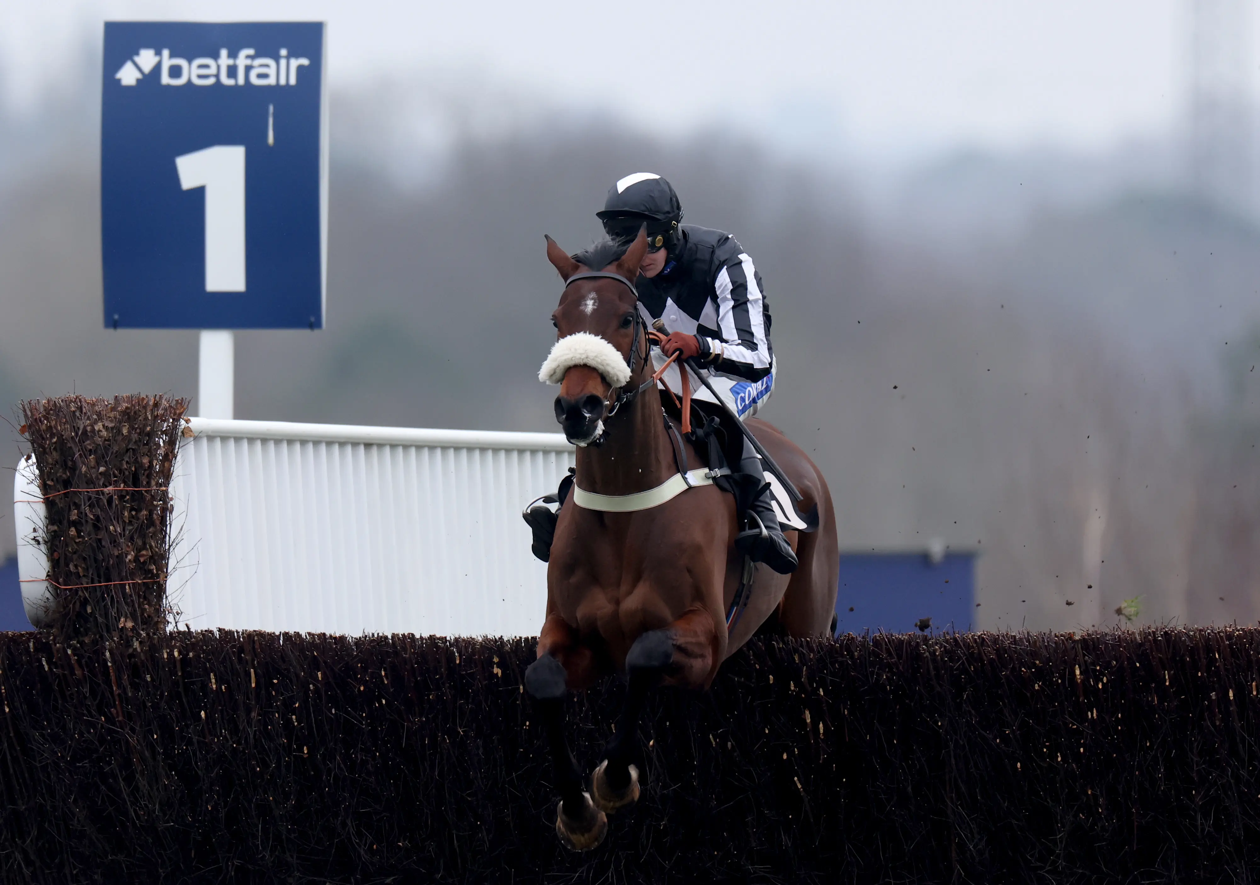 Joe Tizzard assessing options for The Changing Man