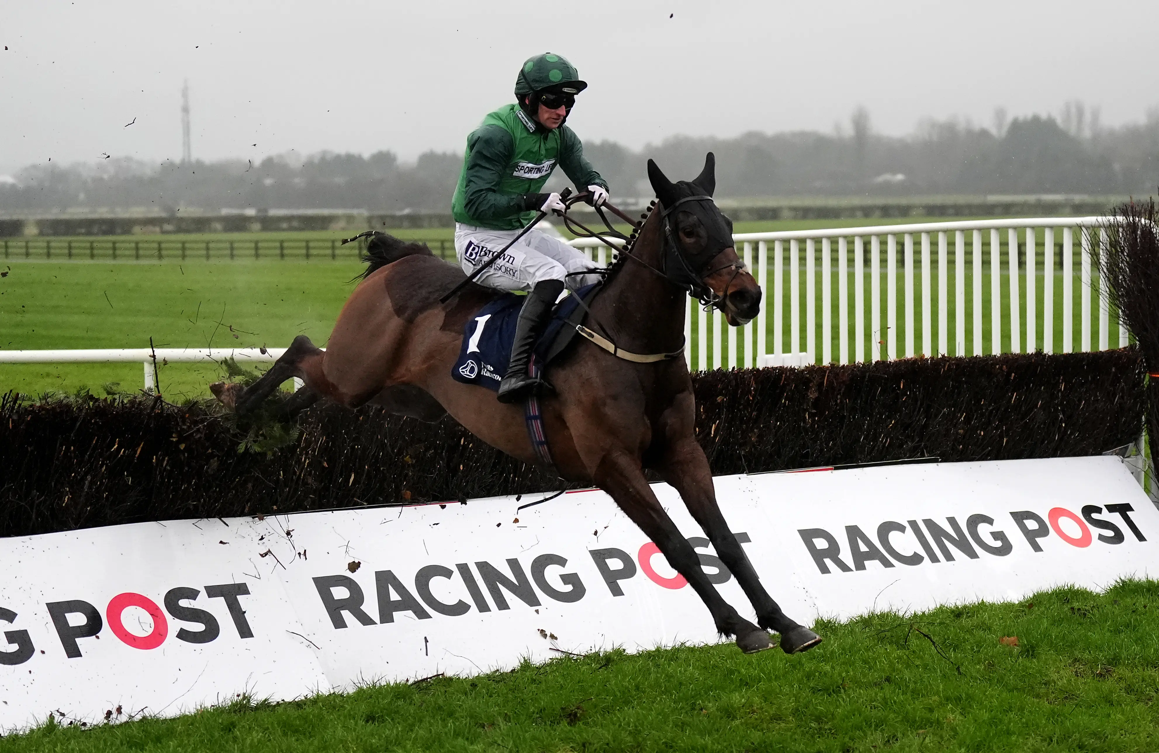 Fun Fun Fun makes her mark at Limerick