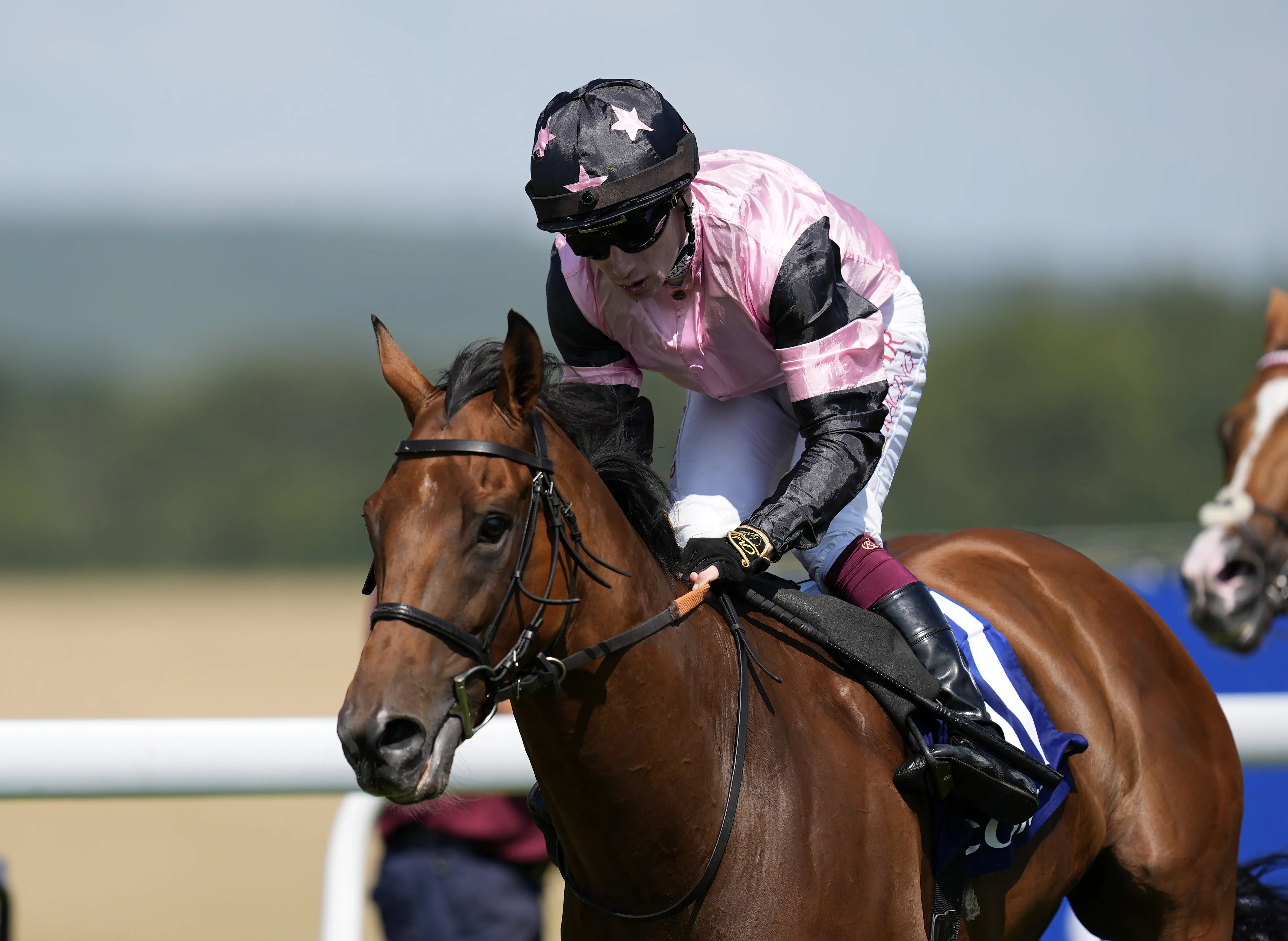 Menuisier snaps up Fentiman for Lincoln hope