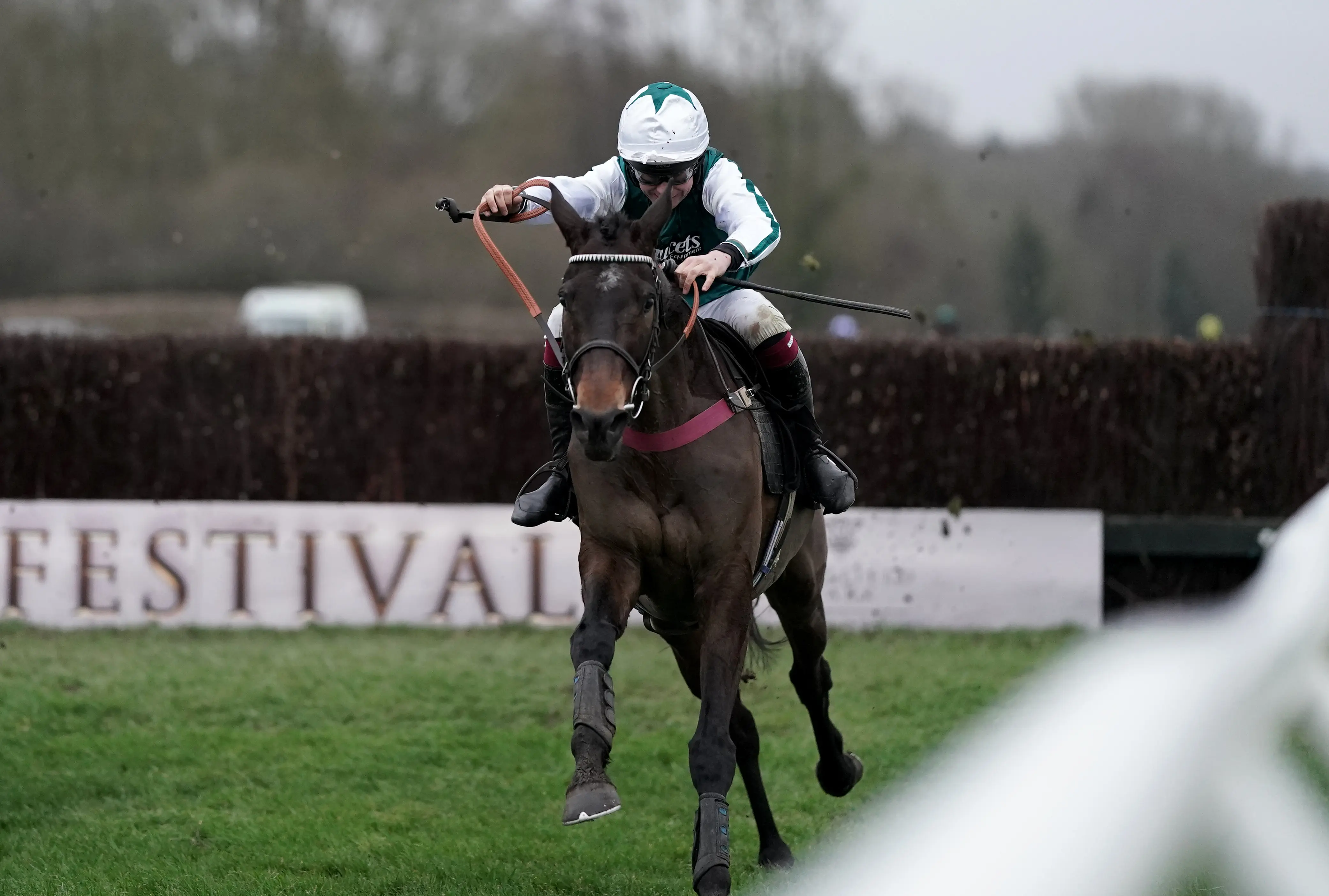 L’Homme Presse ruled out of Grand National bid