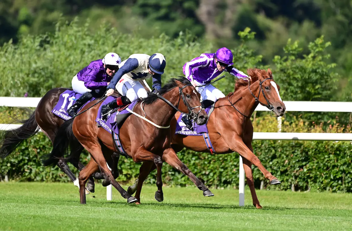 Sunday tips: Angus McNae has four bets, including at 20-1