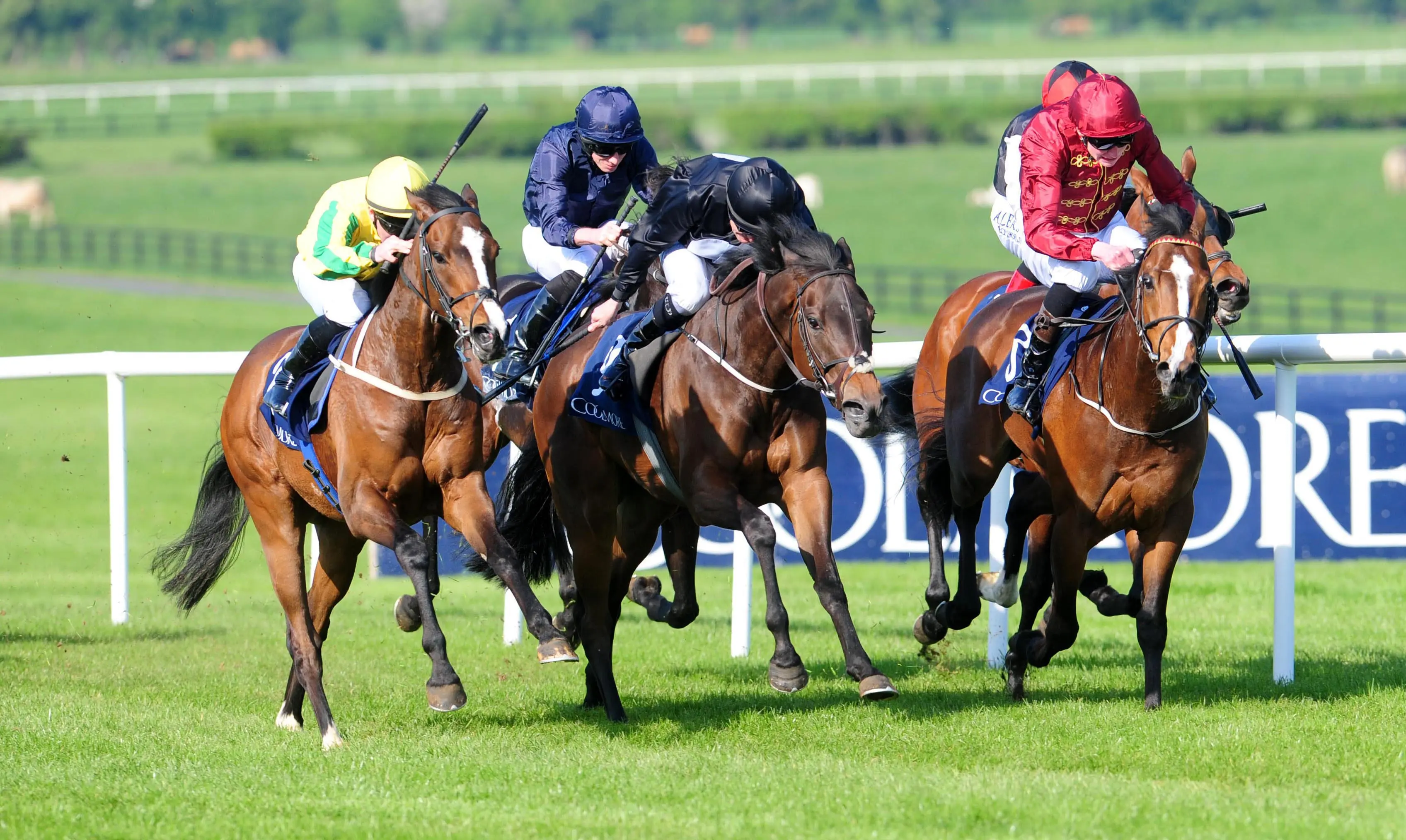 Johnny Ward's Irish Racing Tips: Lydia looks exciting prospect