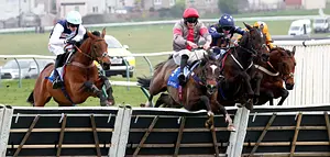 Today's Horse Racing News & Results | Racing TV