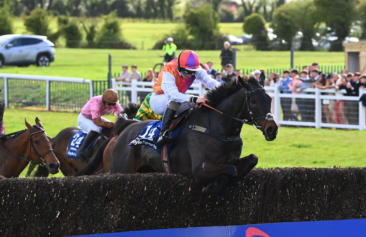 Irish Grand National: Haiti Couleurs strikes for Rebecca Curtis and ...