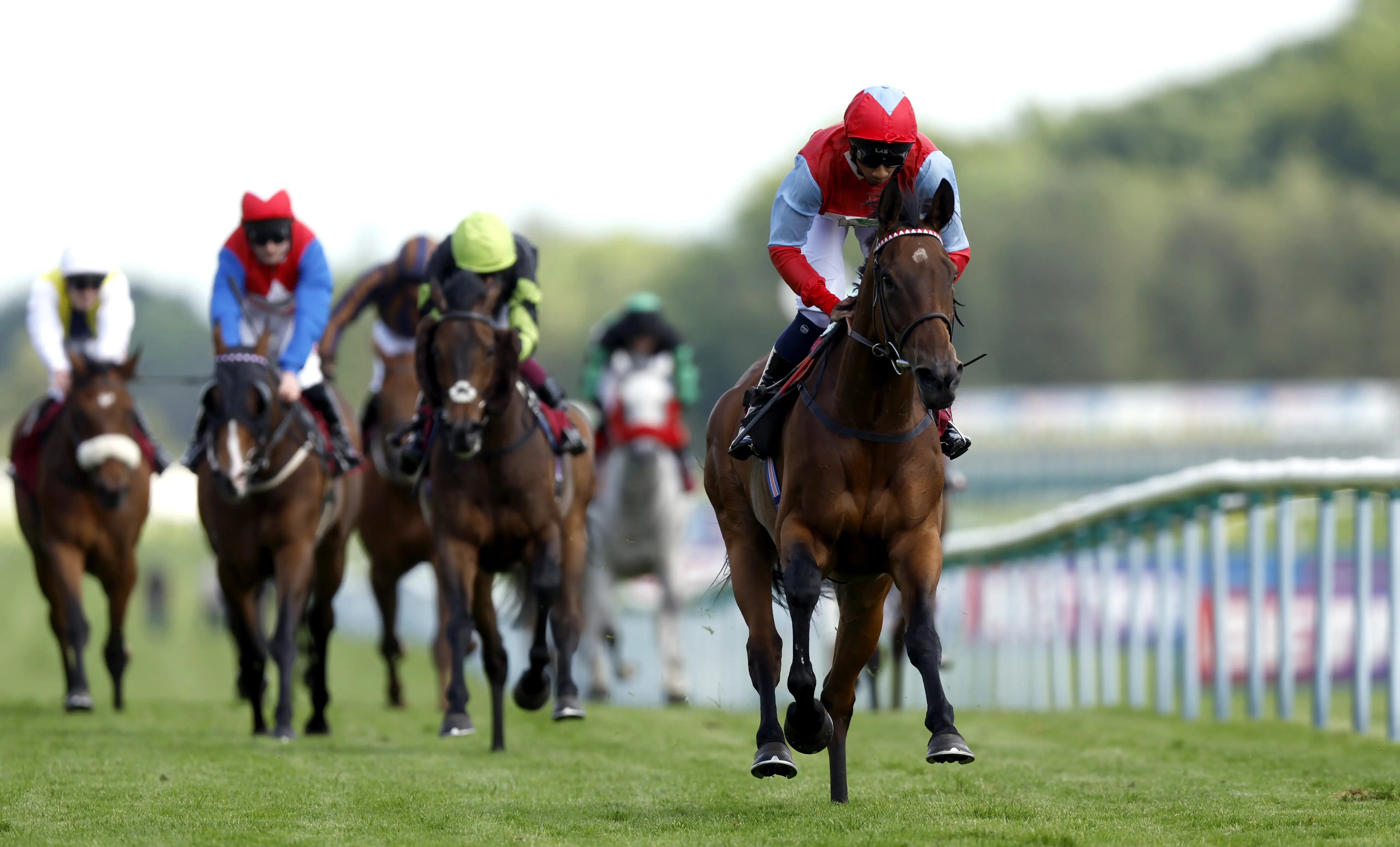 Divine Comedy out to scupper Coltrane's Sagaro hat-trick bid