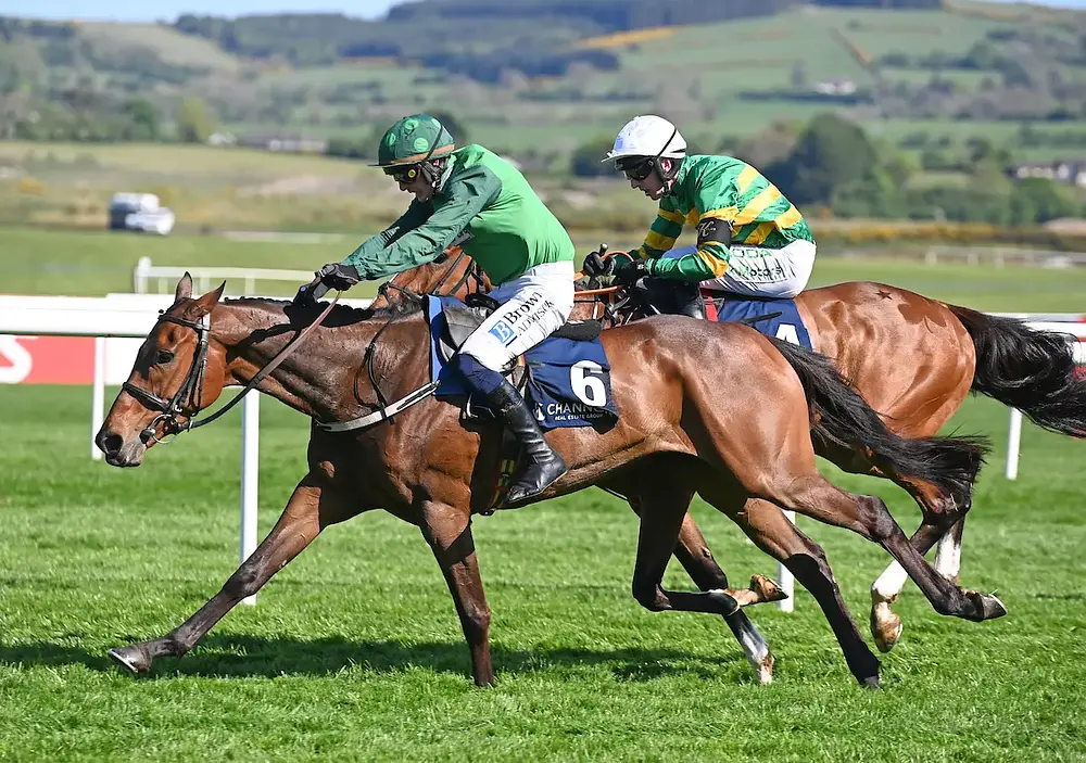 Today's Horse Racing News & Results | Racing TV