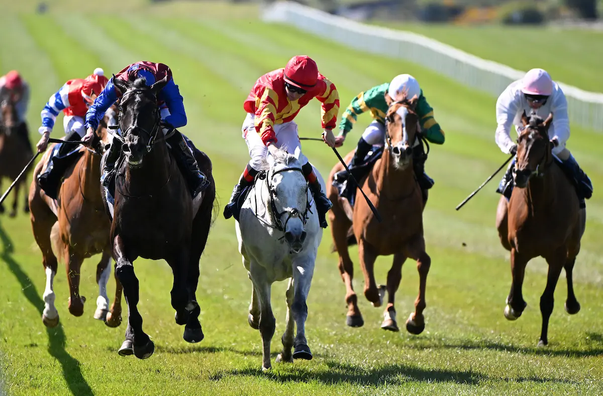 Los Angeles edges out White Birch in Curragh thriller