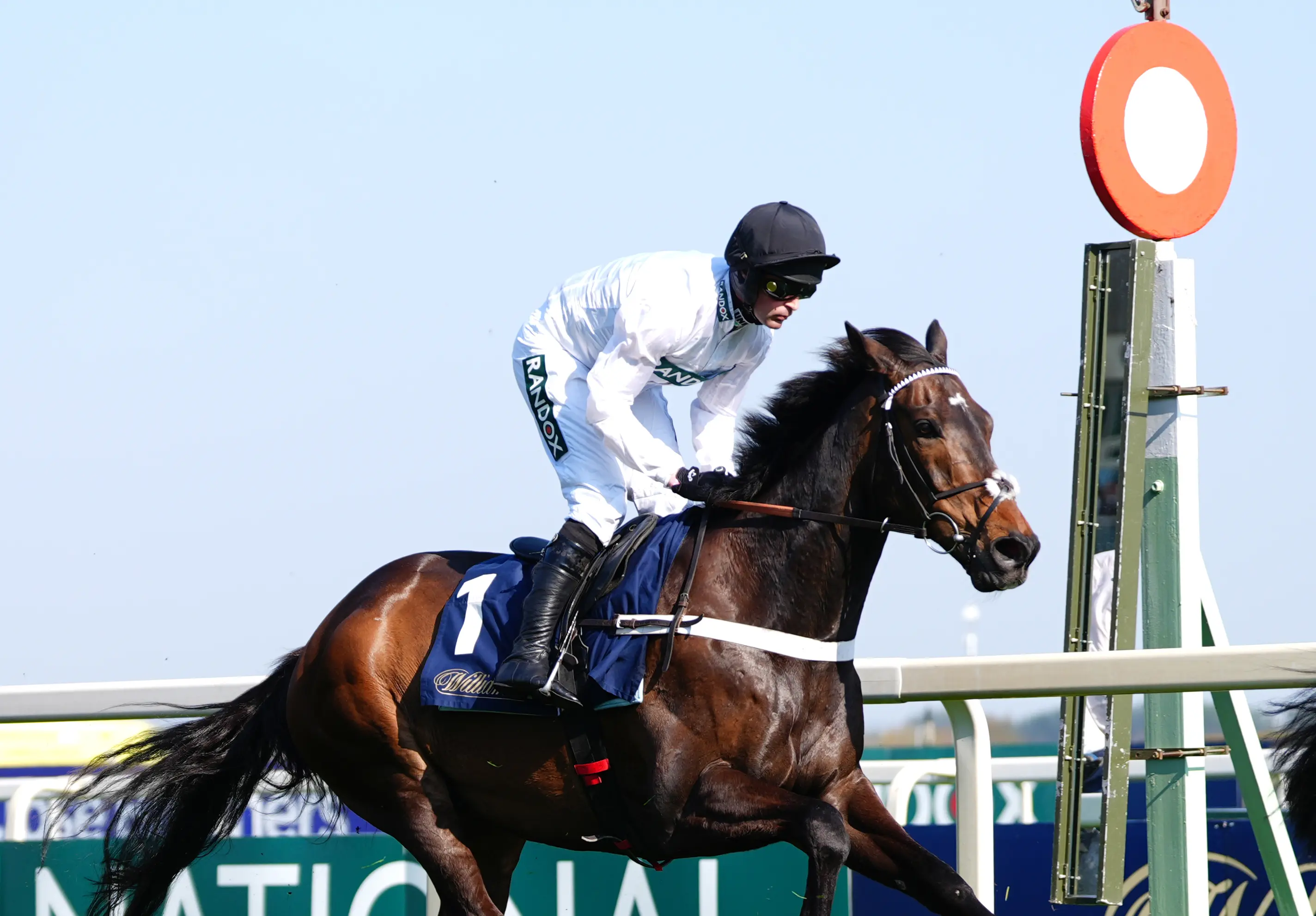 Constitution Hill removed from Gold Cup reckoning