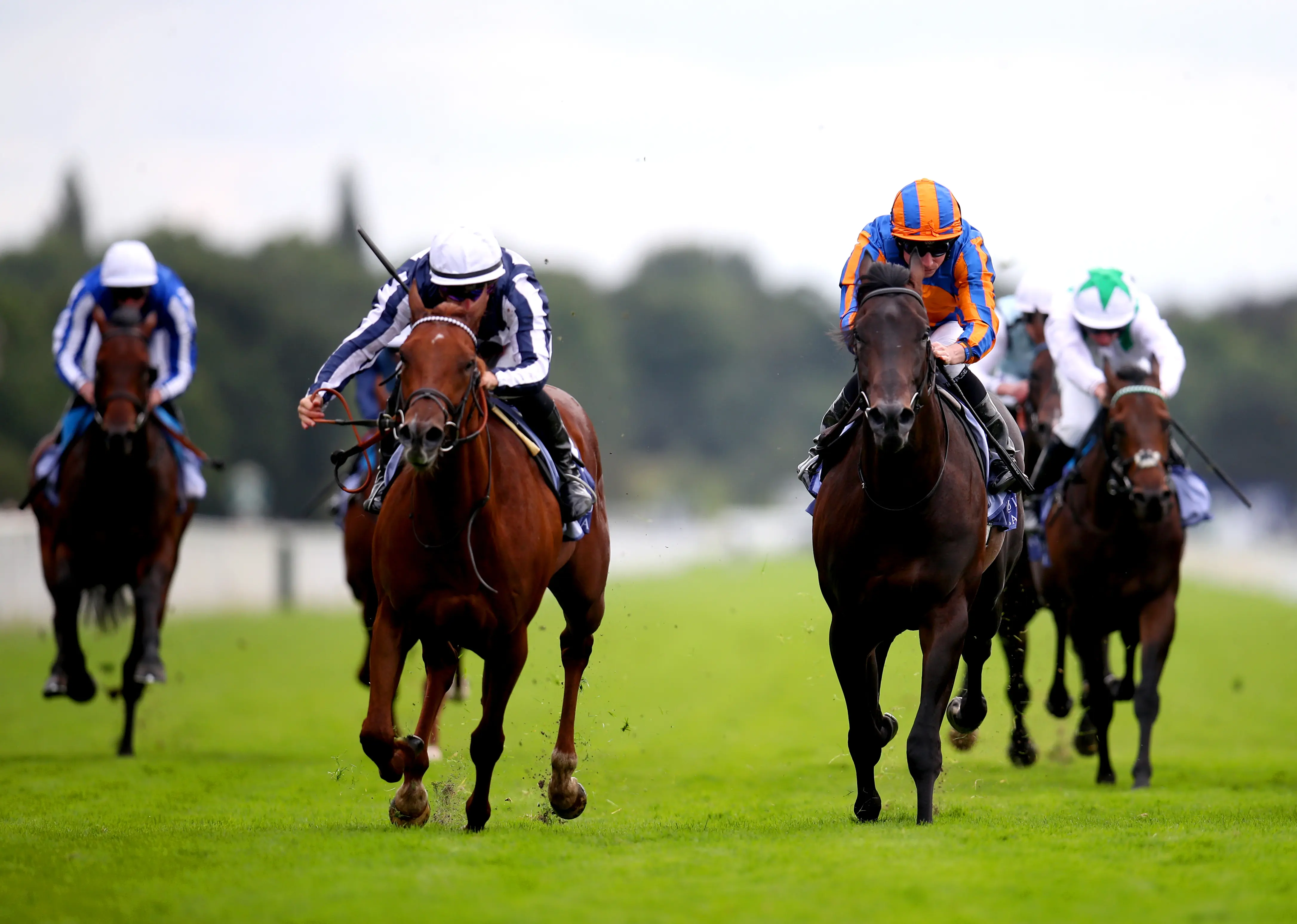 Lake Forest is Royal Ascot-bound after pleasing weekend return