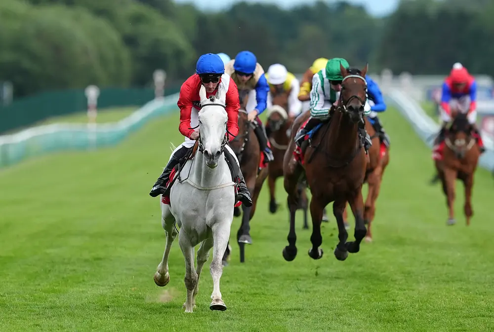 Today's Horse Racing News & Results | Racing TV
