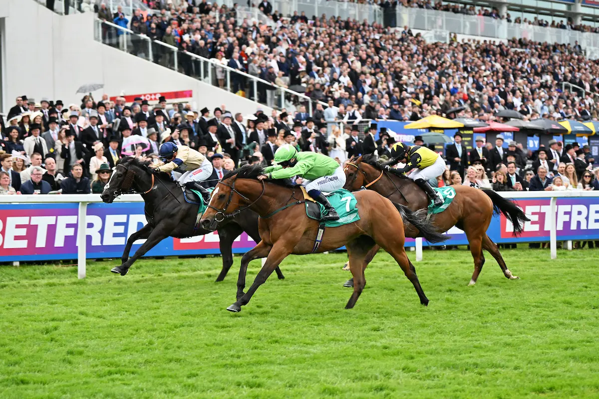 Jm Jungle lands Dash for John and Sean Quinn