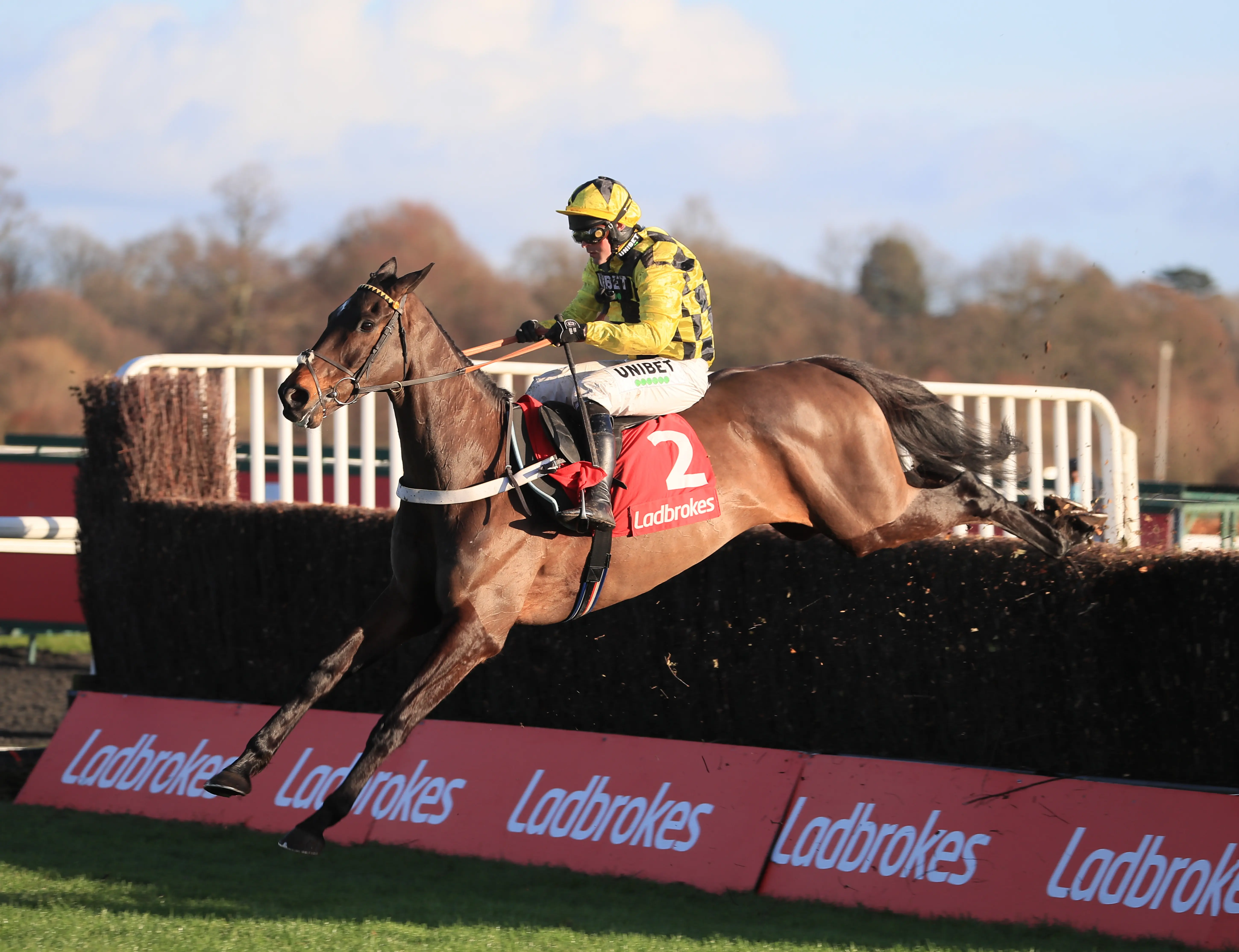 Shishkin now odds-on for the Arkle after "electric" Wayward Lad victory