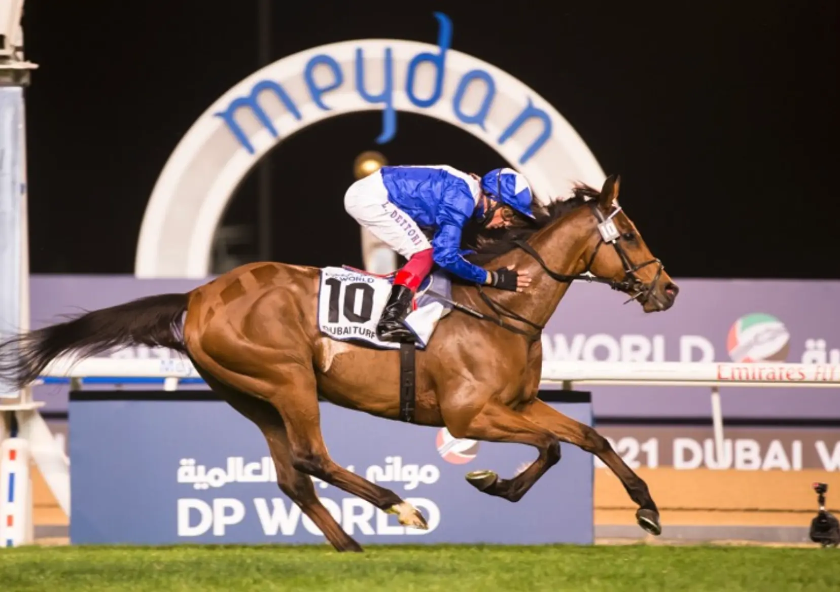 Five horses to follow on Dubai World Cup night this Saturday